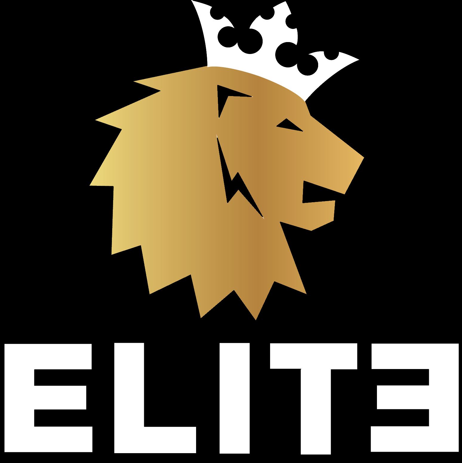 Lesson Programs — Passion. Process. Perform.