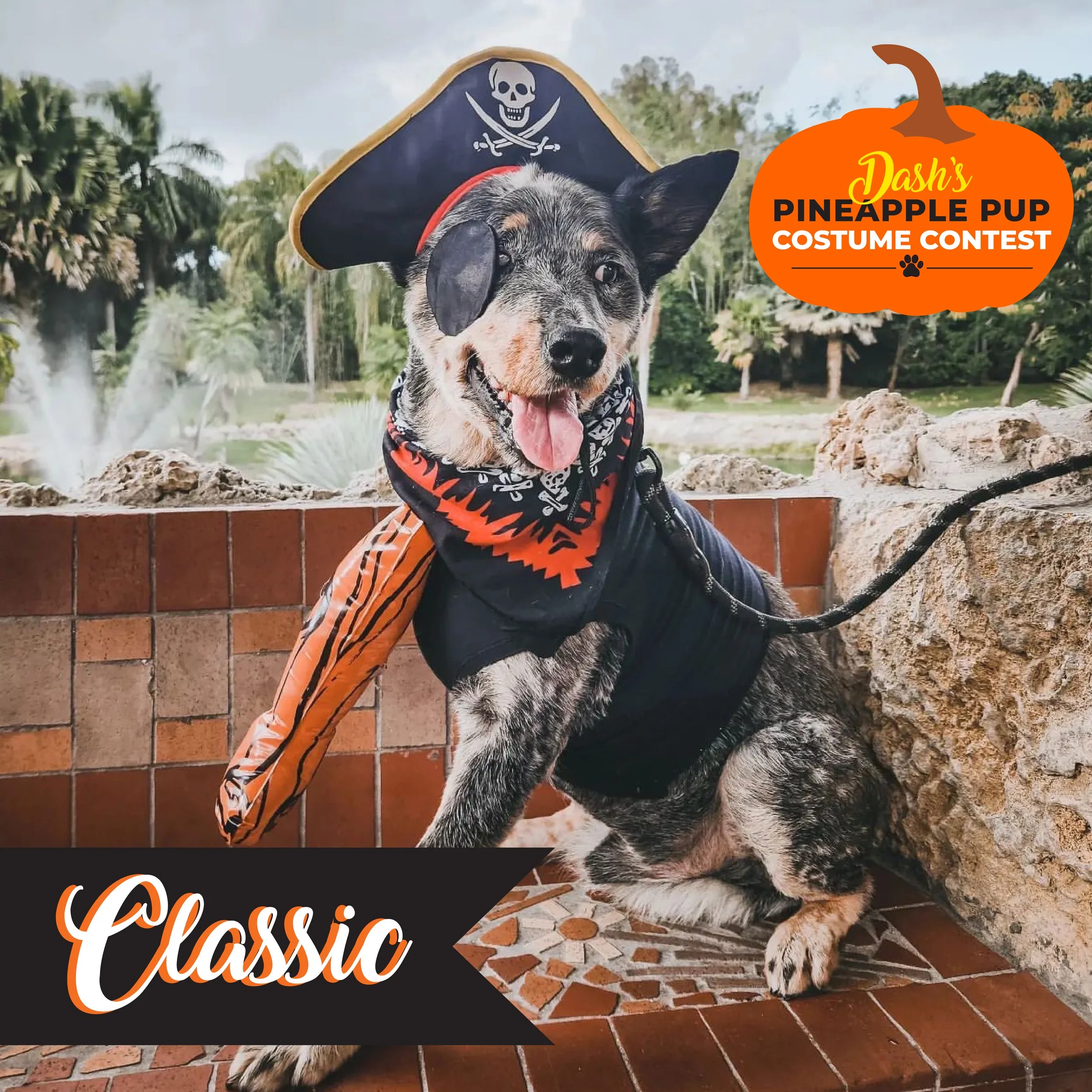 CONGRATULATIONS TO OUR WINNERS! — Staypineapple Blog