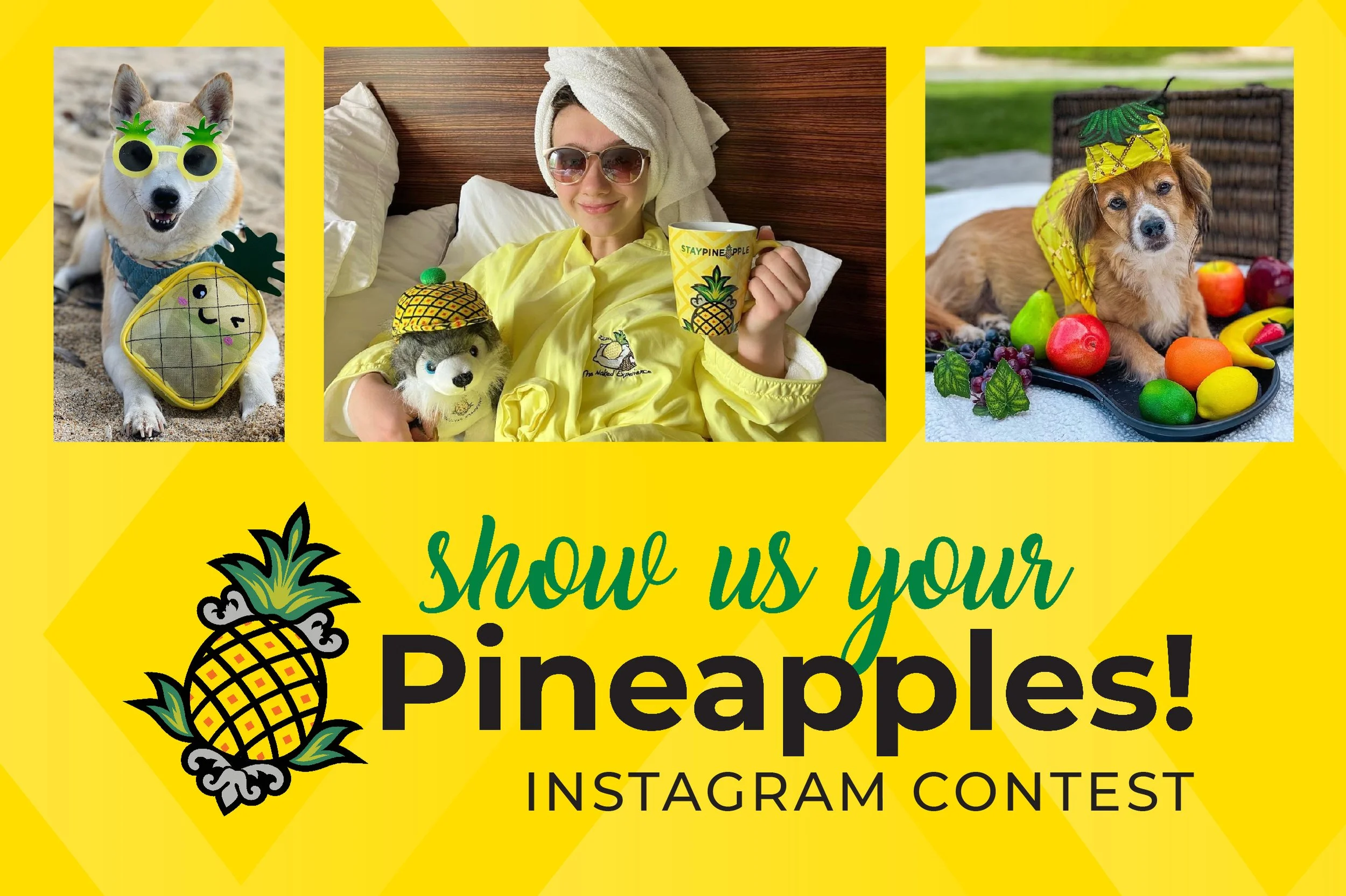 PRIZES ARE RIPE FOR THE PICKIN’ WITH OUR SHOW US YOUR PINEAPPLES ...