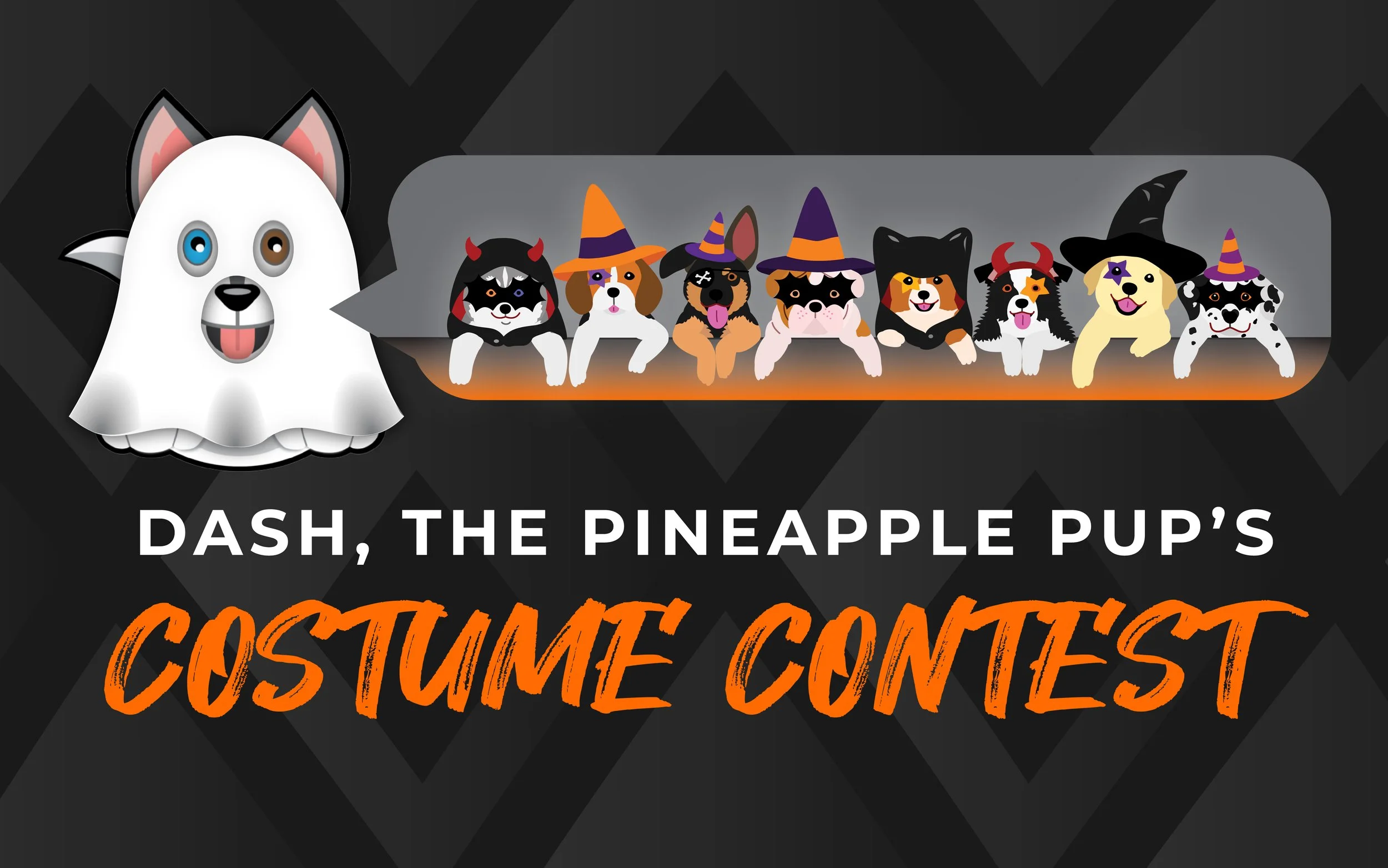 Staypineapple | Dash, The Pineapple Pup's Halloween Costume Contest ...