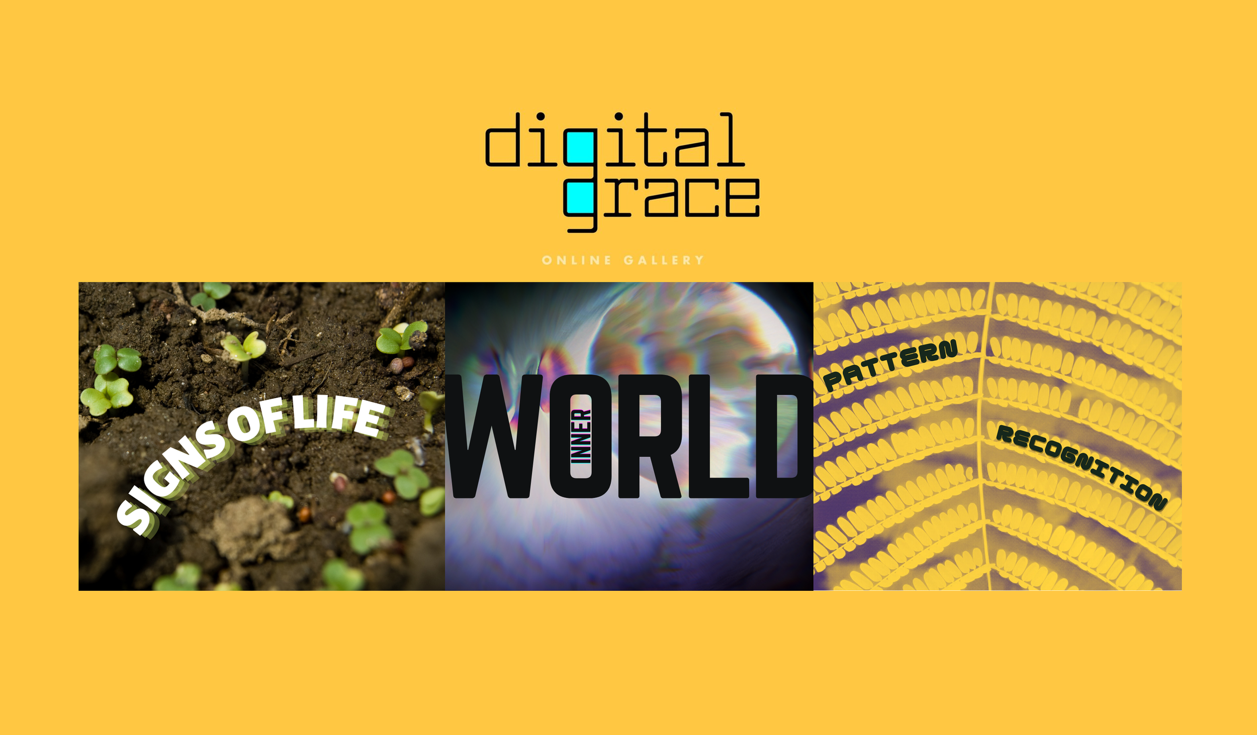 Ely Center of Contemporary Art