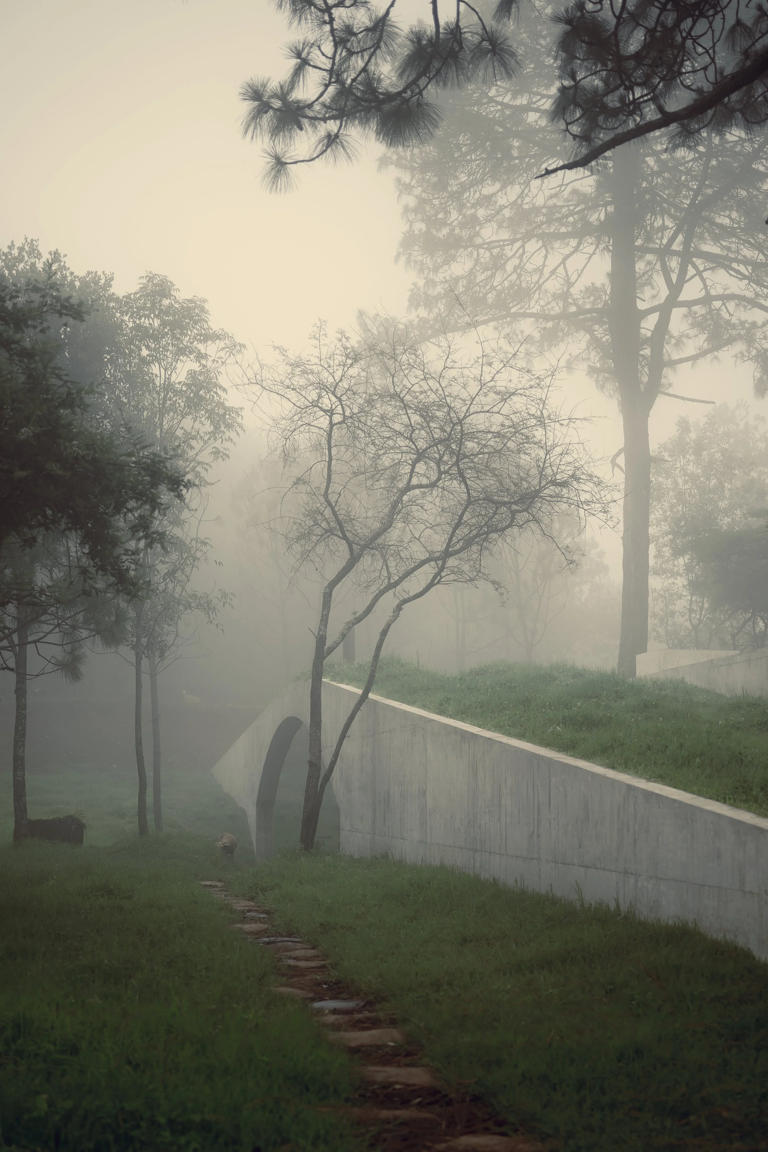 HW Studio Arquitectos