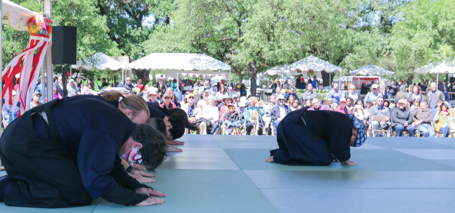 25th Anniversary Festival — Japan Festival Houston