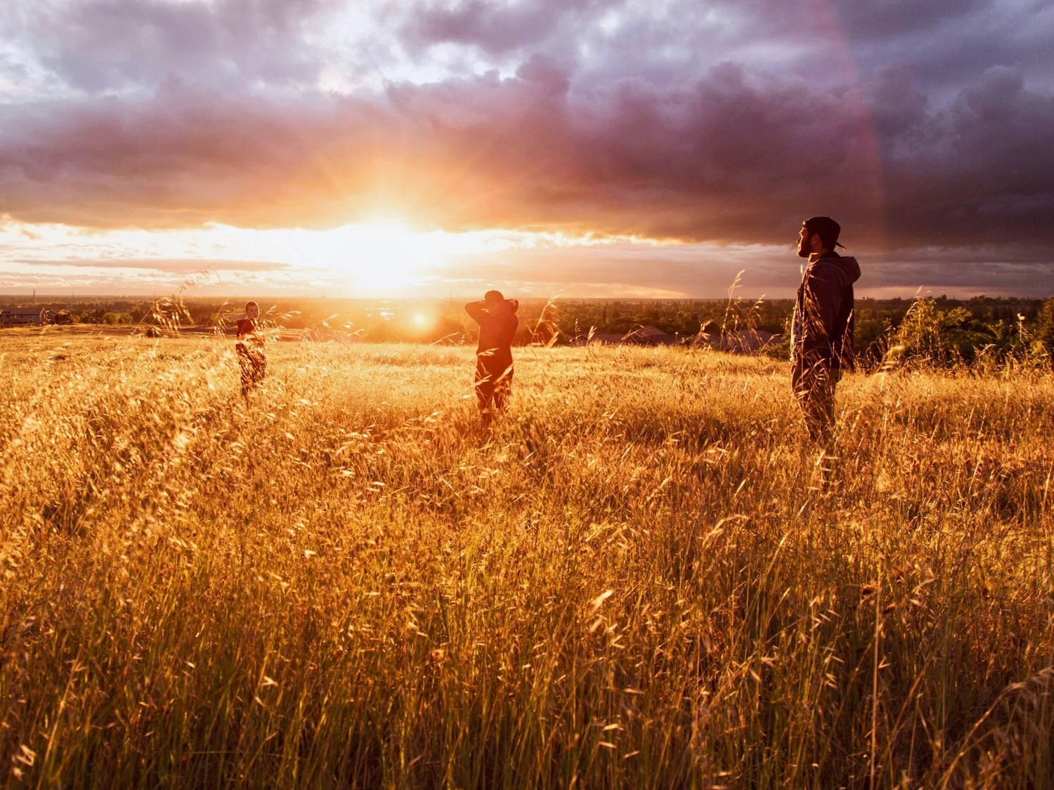 2 Ways Jesus Cares for Us with His Gentleness — Beautiful Christian Life
