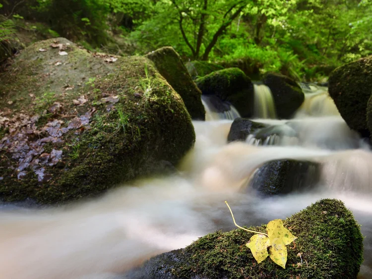 9 Reasons You May Be in a Spiritual Drought—and How to Find Refreshment ...