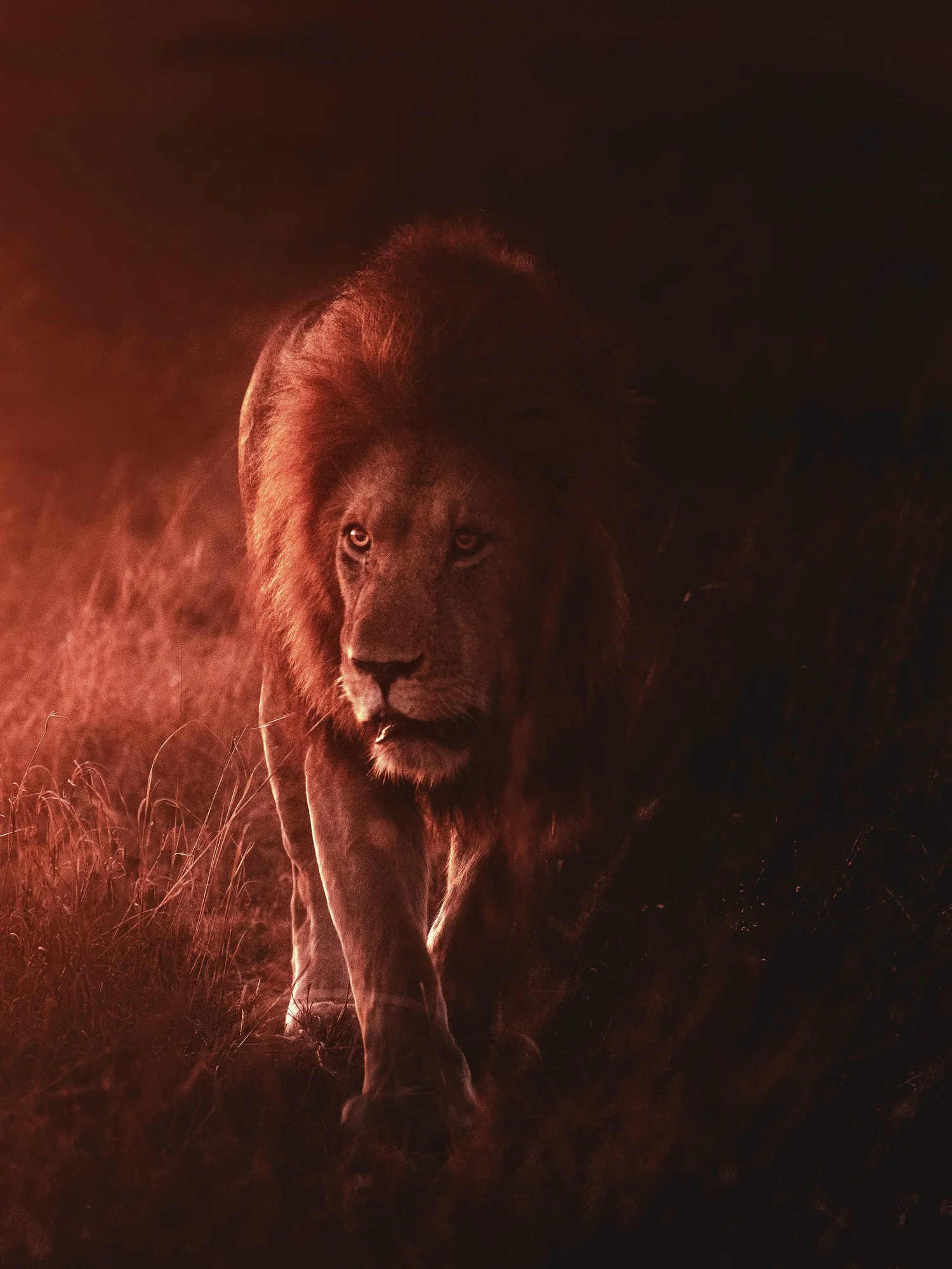 4 Schemes the Devil Uses Against God's Children — Beautiful Christian Life