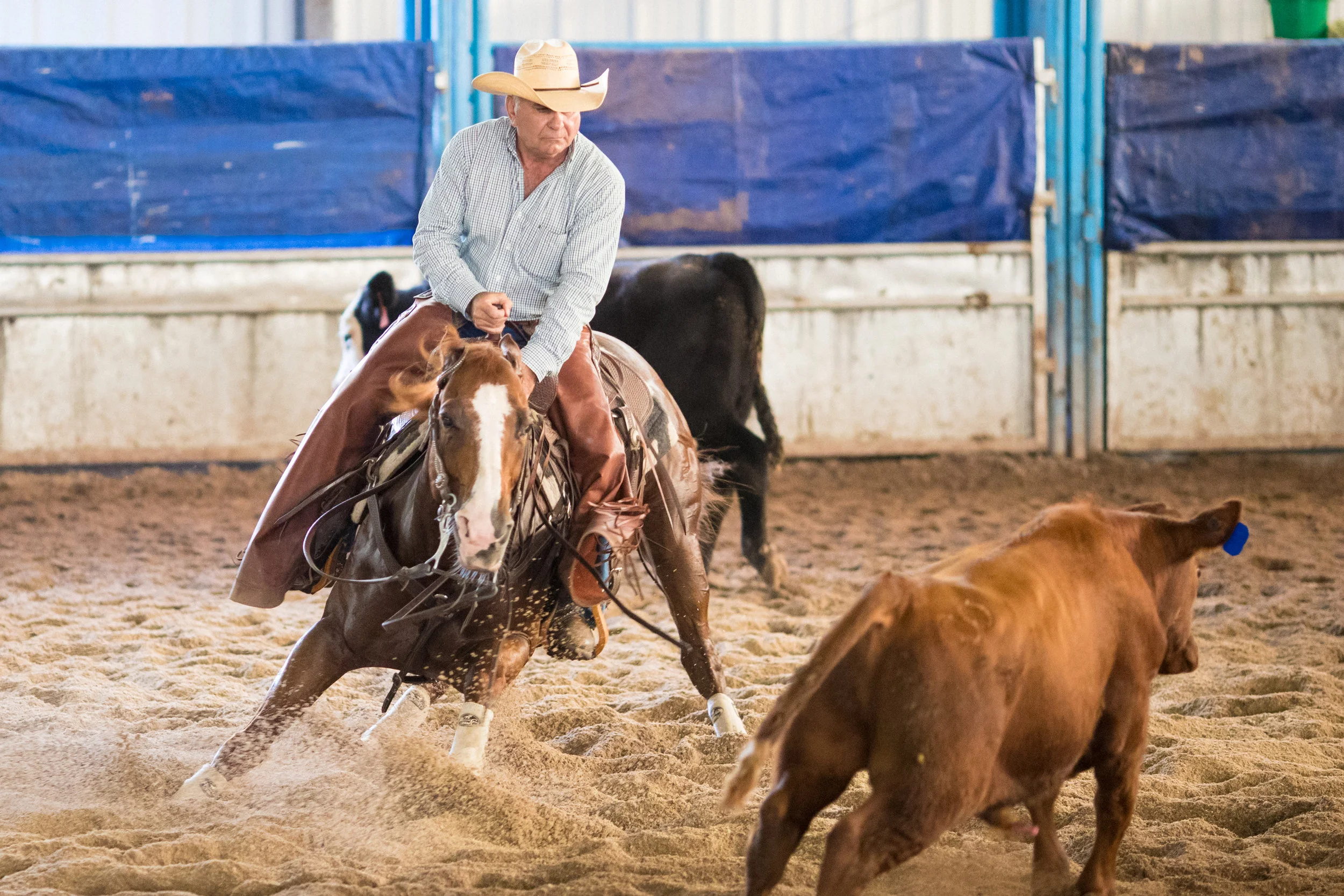PA Cutting Horse Association