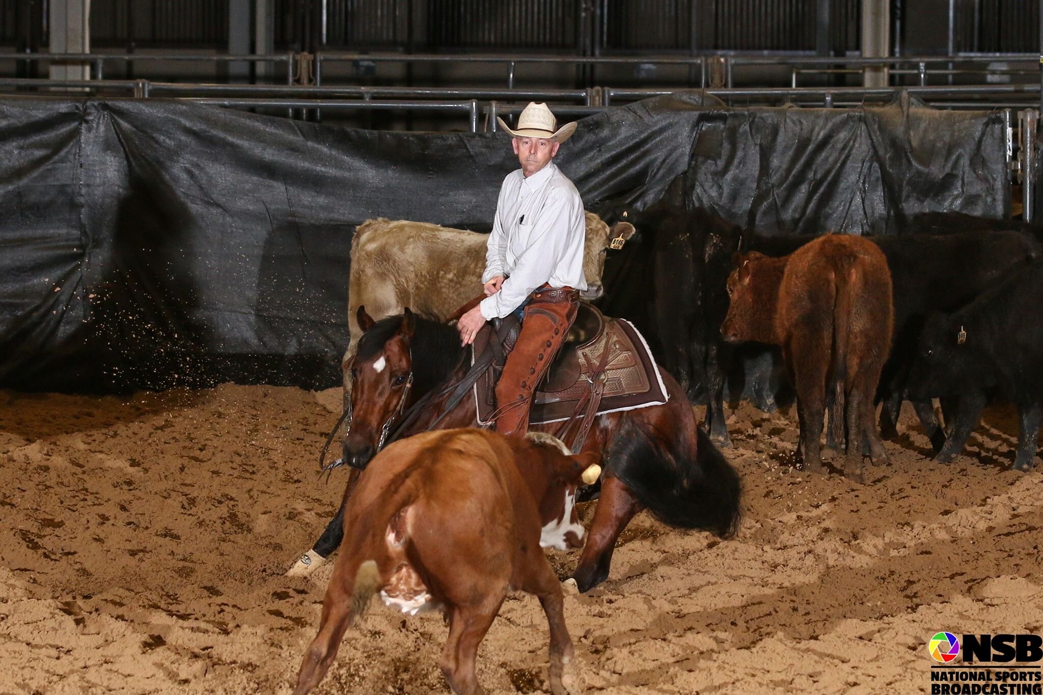 Show Results — PCHA