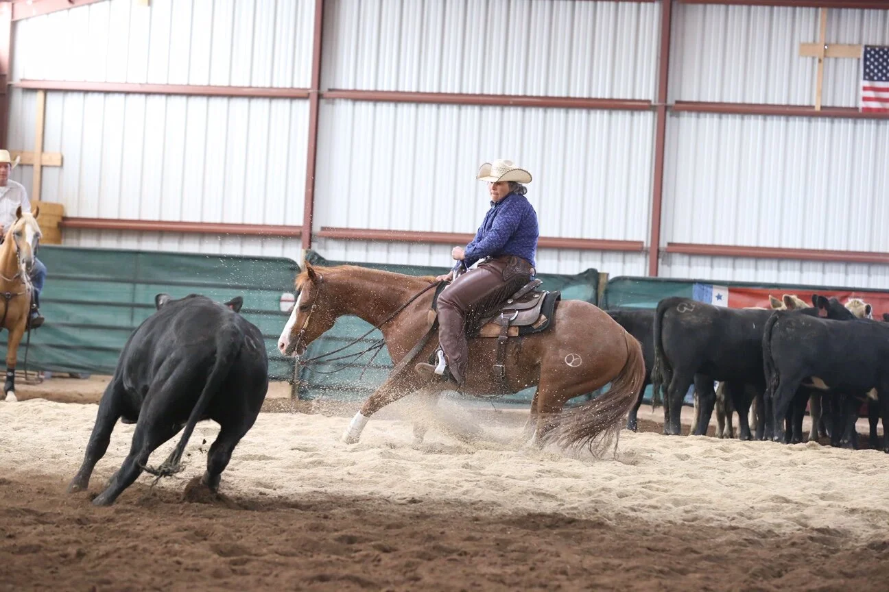 Show Results — PCHA