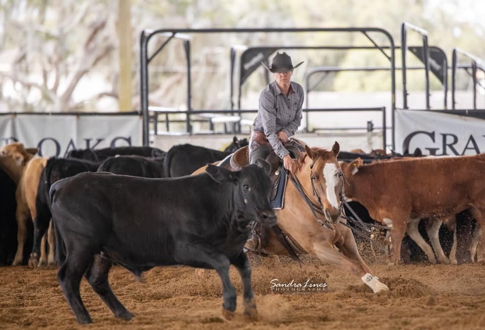 Show Results — PCHA