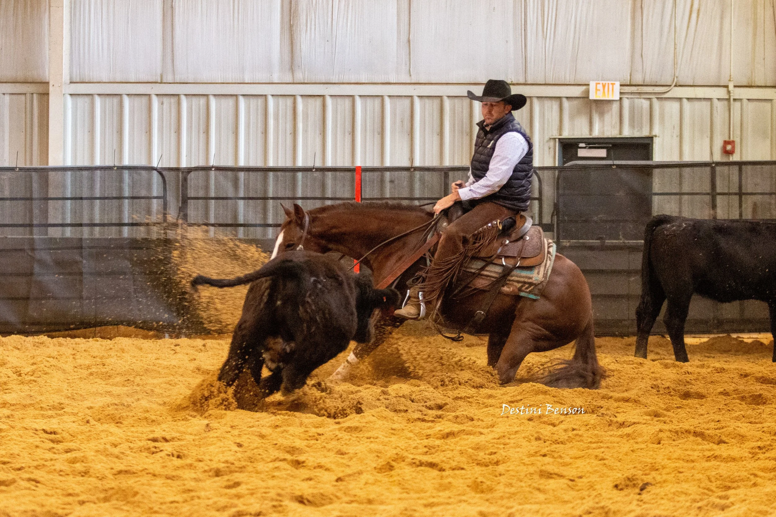 Show Results — PCHA