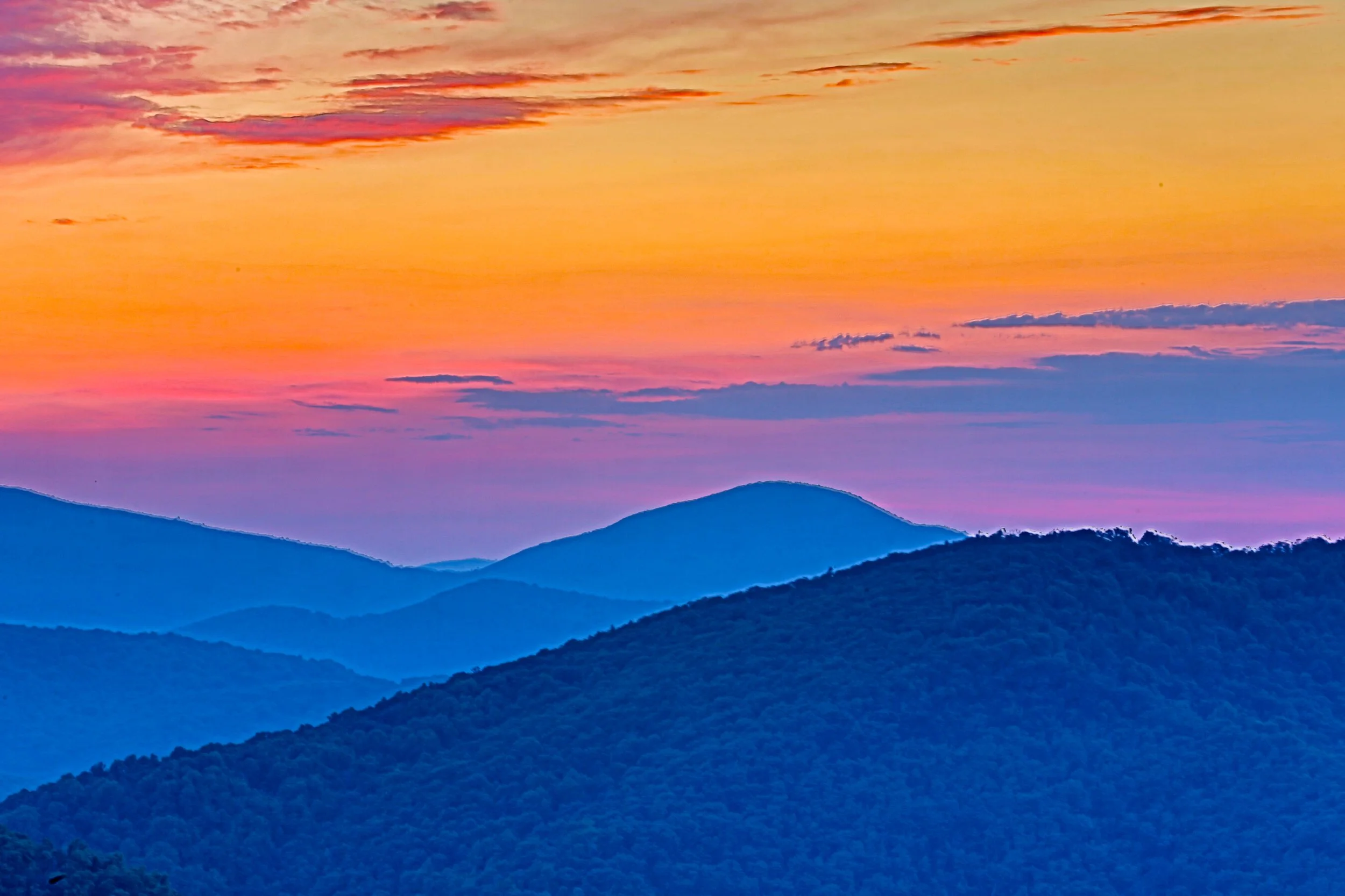 A. Sample Photography