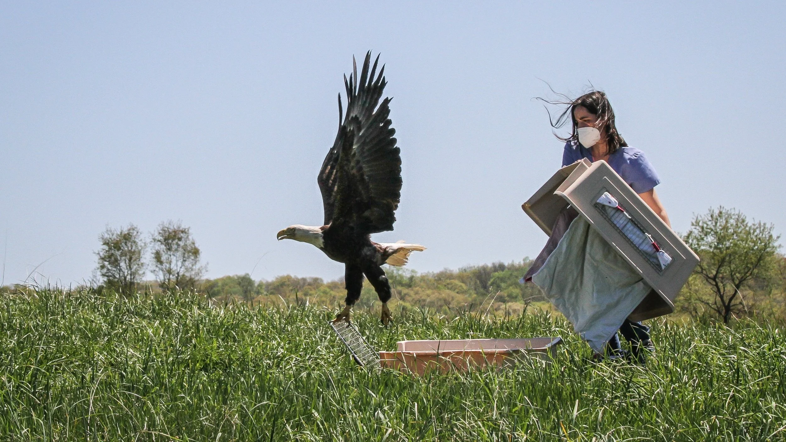 Blue Ridge Wildlife Center