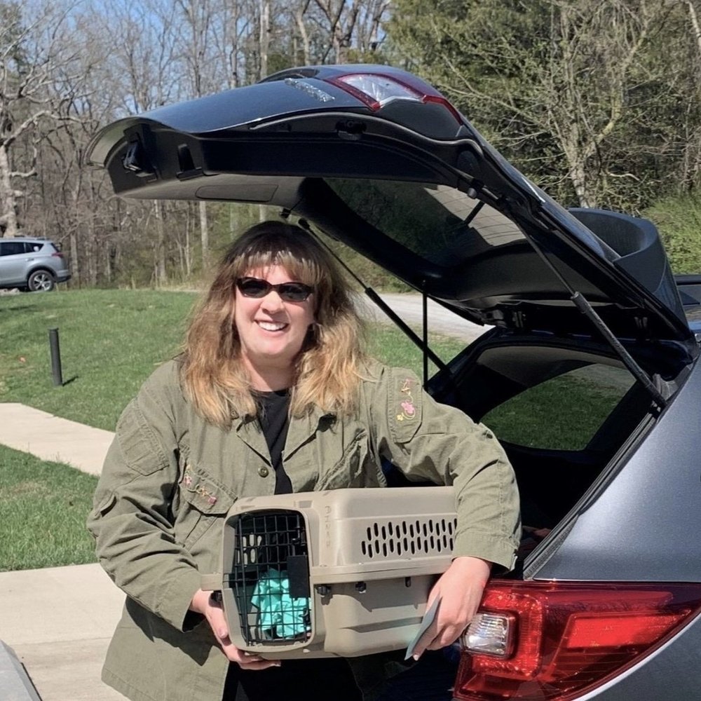 Volunteer at Blue Ridge Wildlife Center — Blue Ridge Wildlife Center