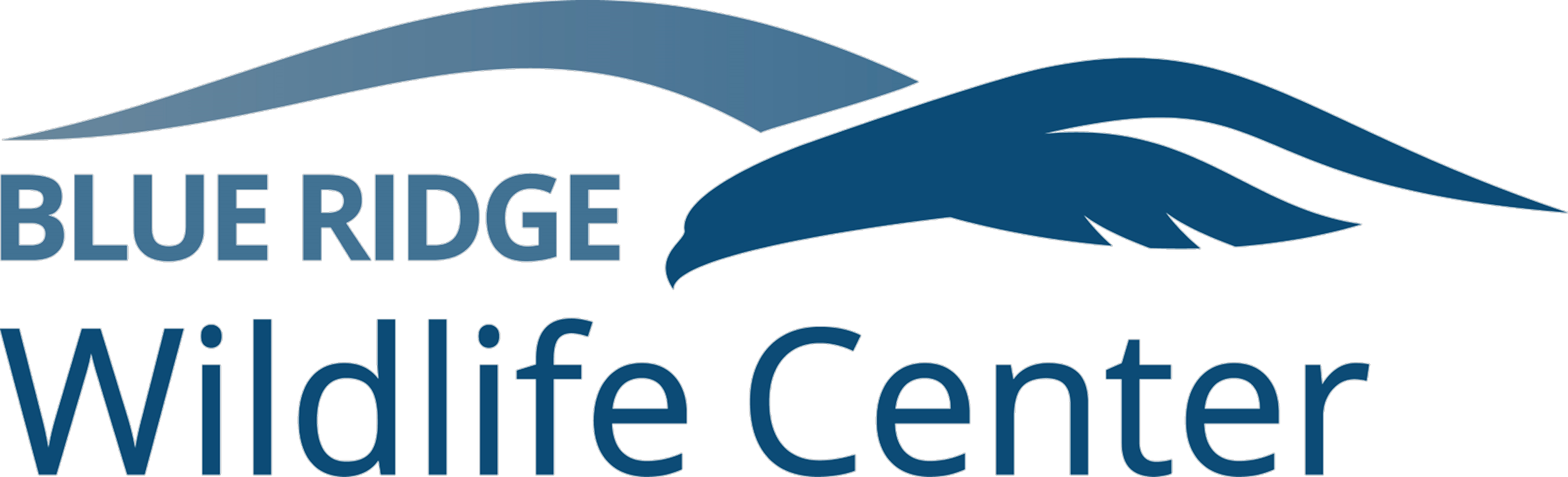 Blue Ridge Wildlife Center