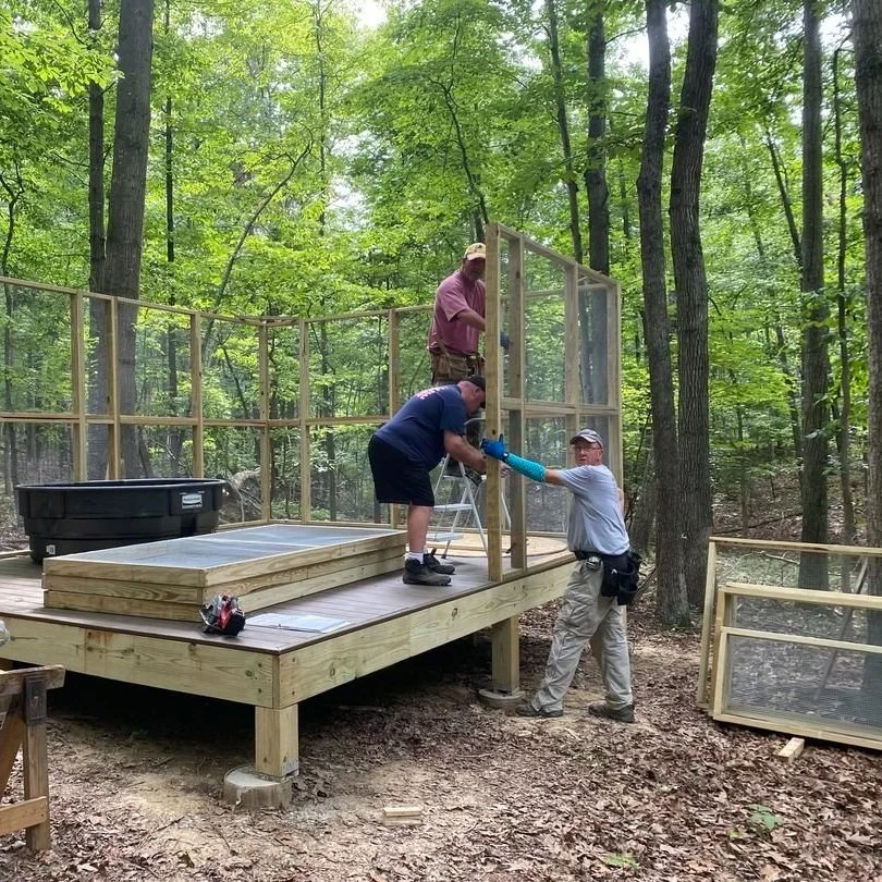 Volunteer at Blue Ridge Wildlife Center — Blue Ridge Wildlife Center