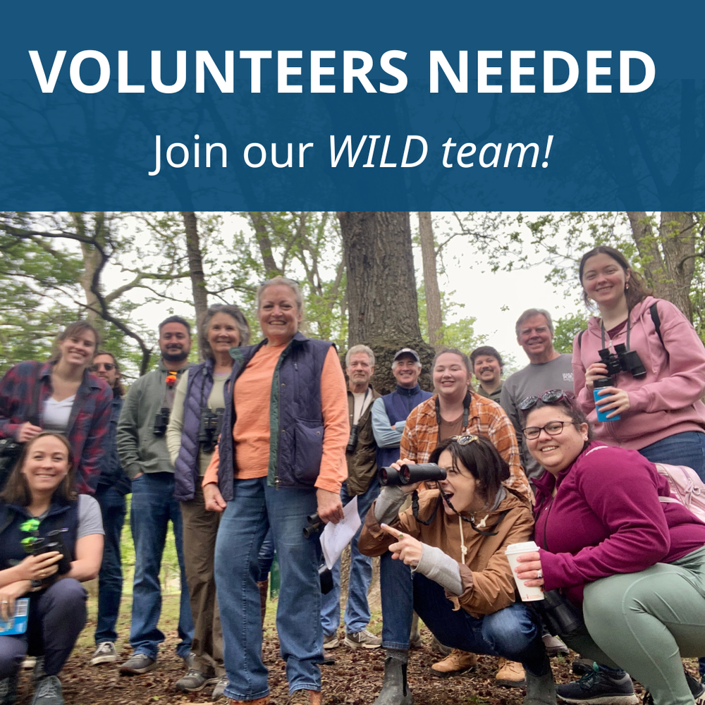 Blue Ridge Wildlife Center