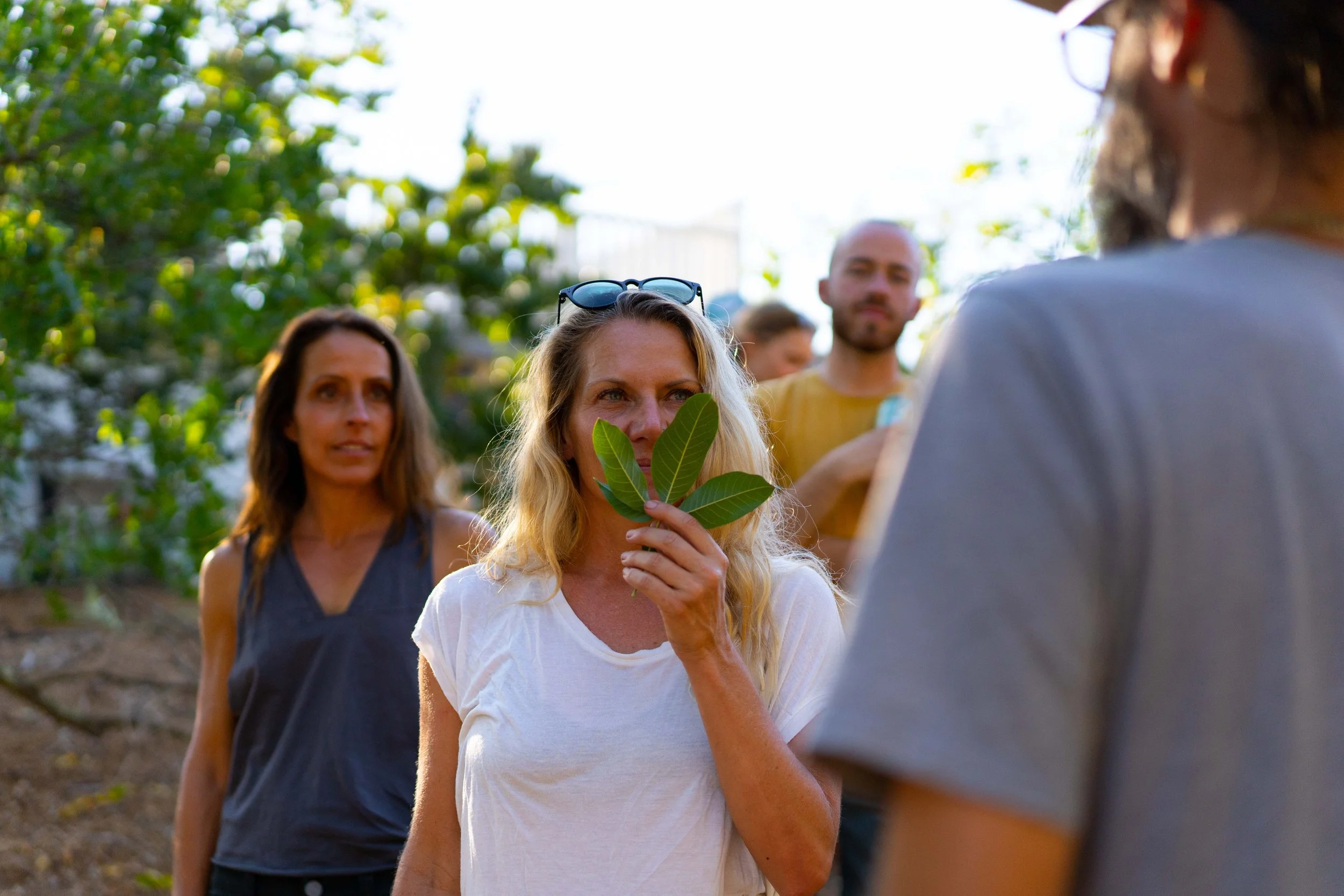 Climb to Farm — Golden State Guiding