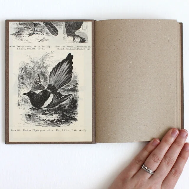 the magpie book and other notebooks — paperiaarre