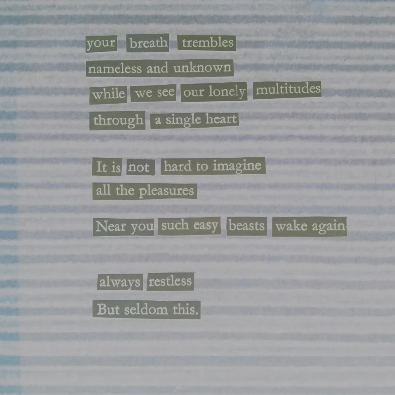 Cut up Poetry Paperiaarre Cut up Poetry Paperiaarre
