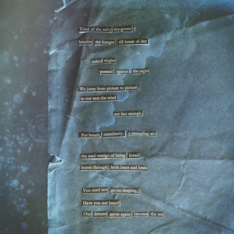 cut-up poetry — paperiaarre
