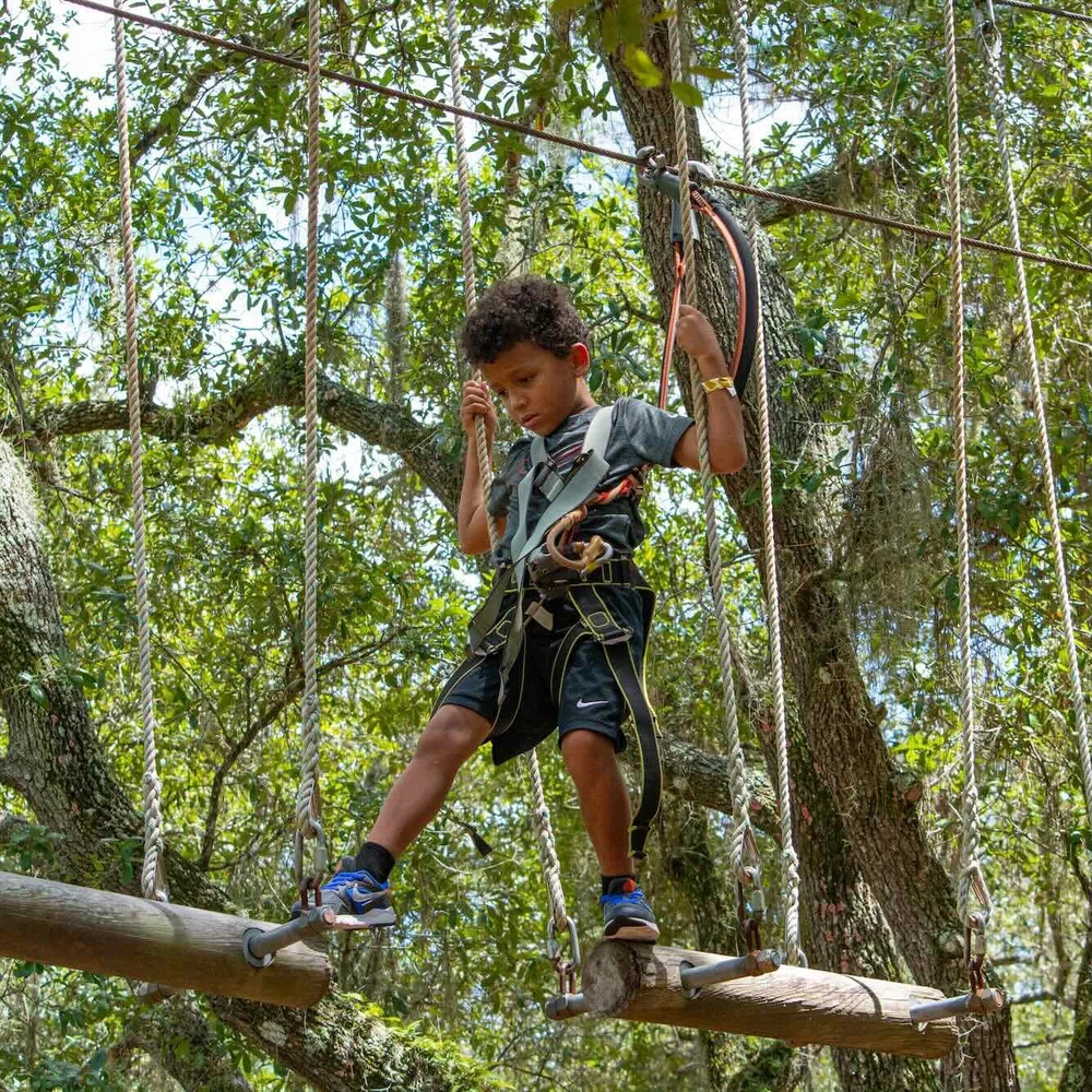 TreeUmph! Ape Up Children's Course Ticket Details