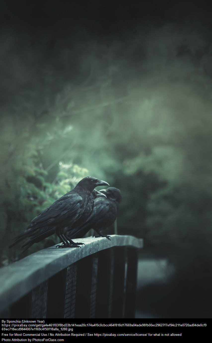 UNKINDNESS OF RAVENS - — The Porch