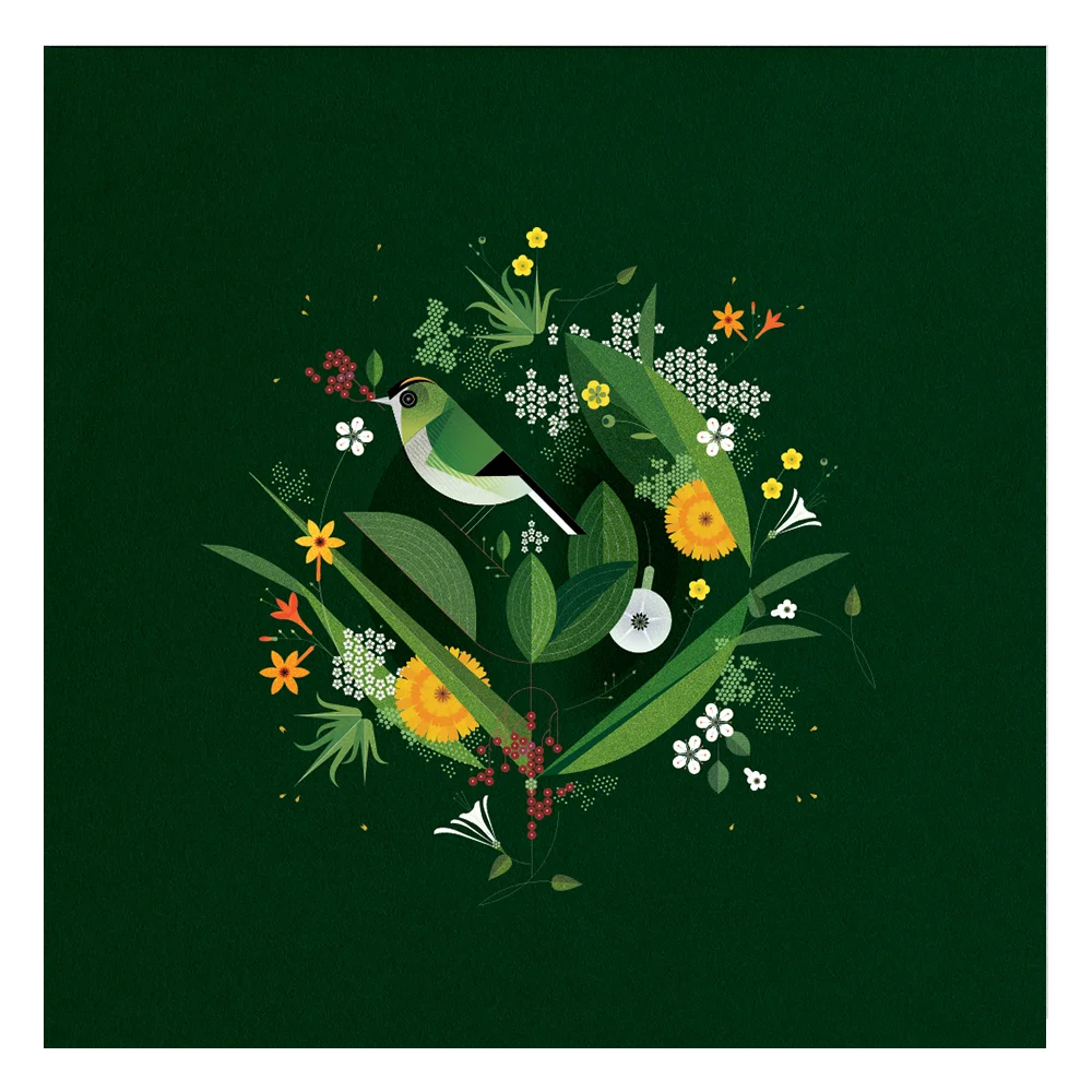 Sally Caulwell Illustration