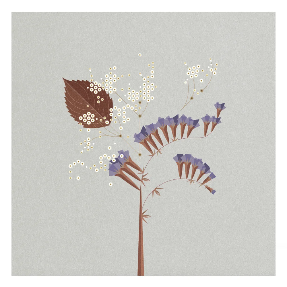 Sally Caulwell Illustration