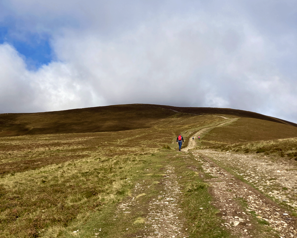 Tough Soles 👣 Tipperary Day Hikes: Slievenamon