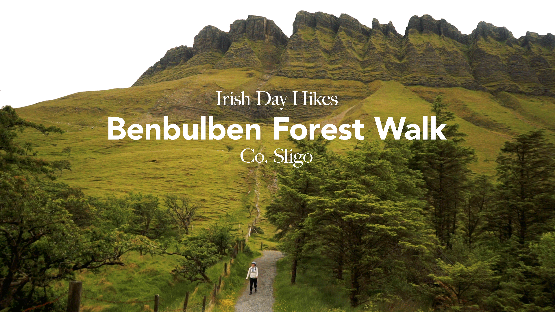 Tough Soles 👣 Benbulben Forest Walk 👣 Sligo Day Hikes