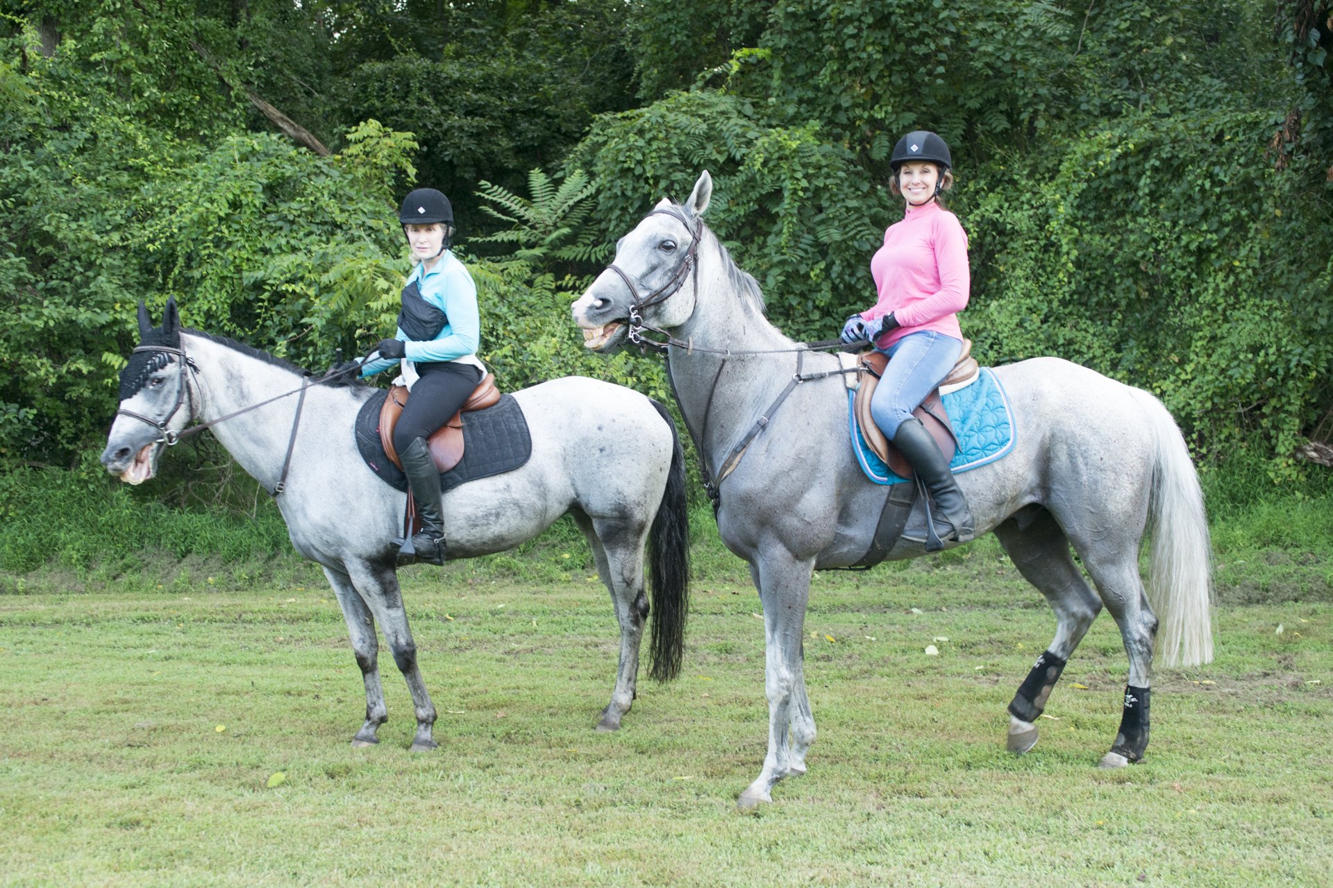 Join LOMH — League Maryland Horsemen