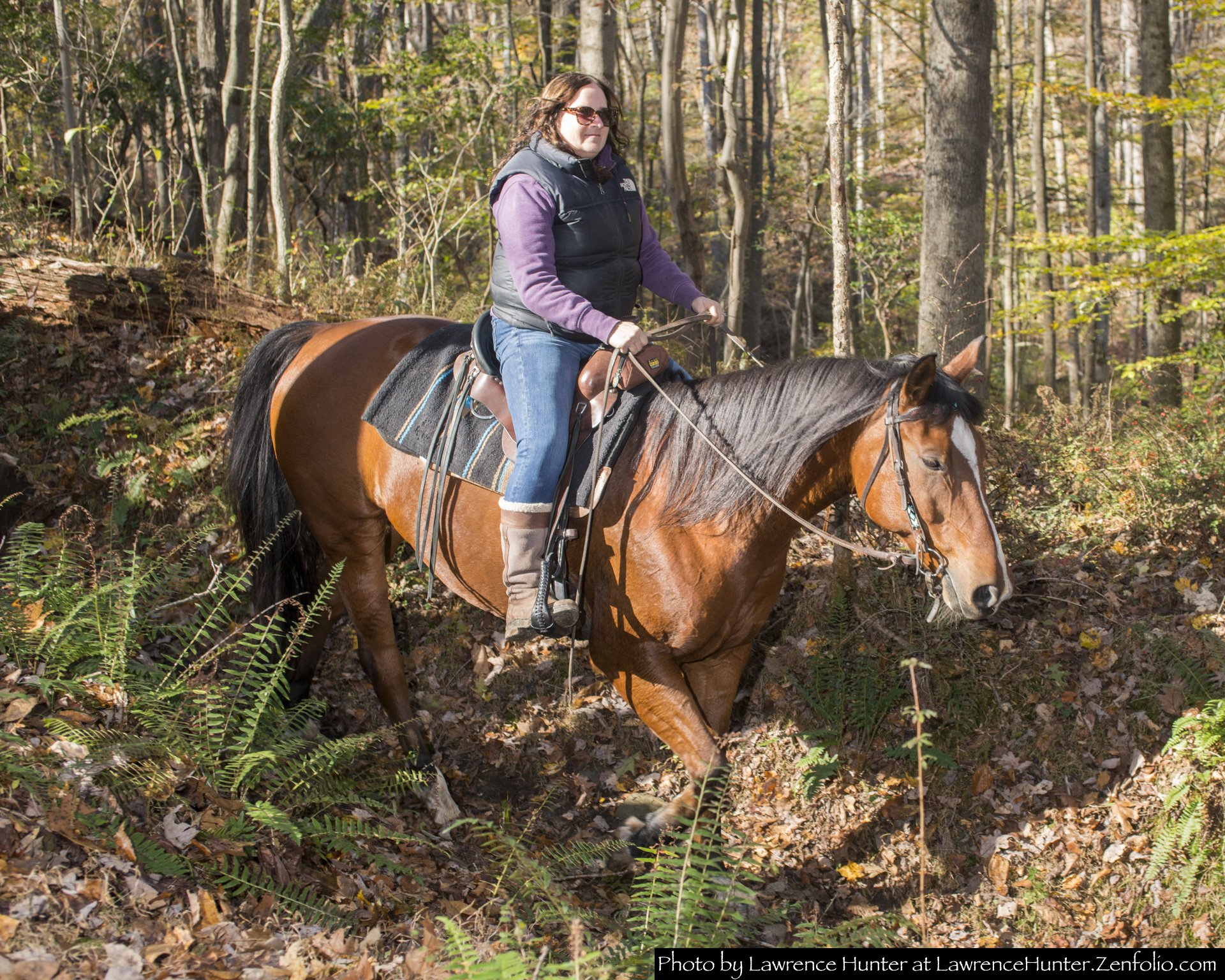 Join LOMH — League Maryland Horsemen