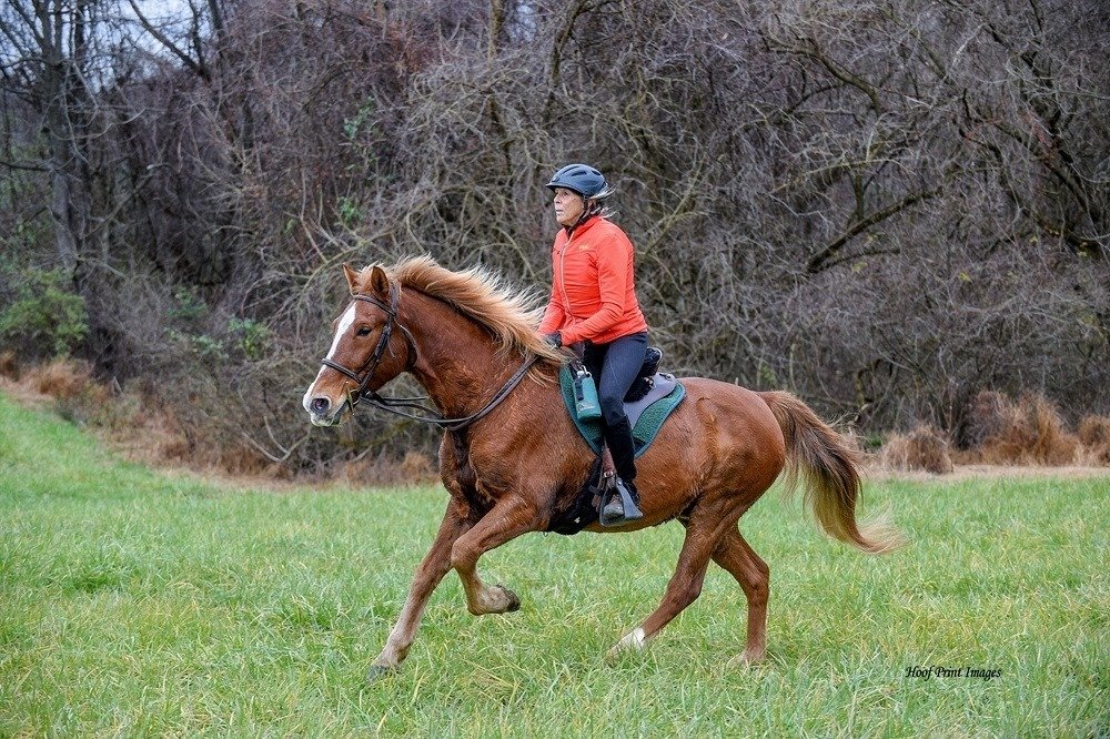 Join LOMH — League Maryland Horsemen
