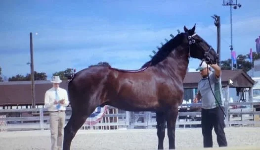 Join LOMH — League Maryland Horsemen