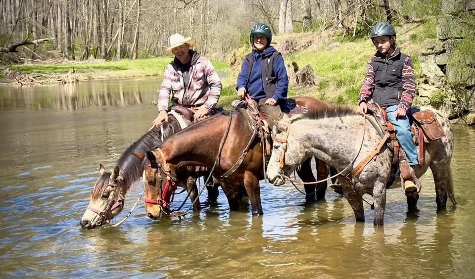 Directions to LOMH — League Maryland Horsemen