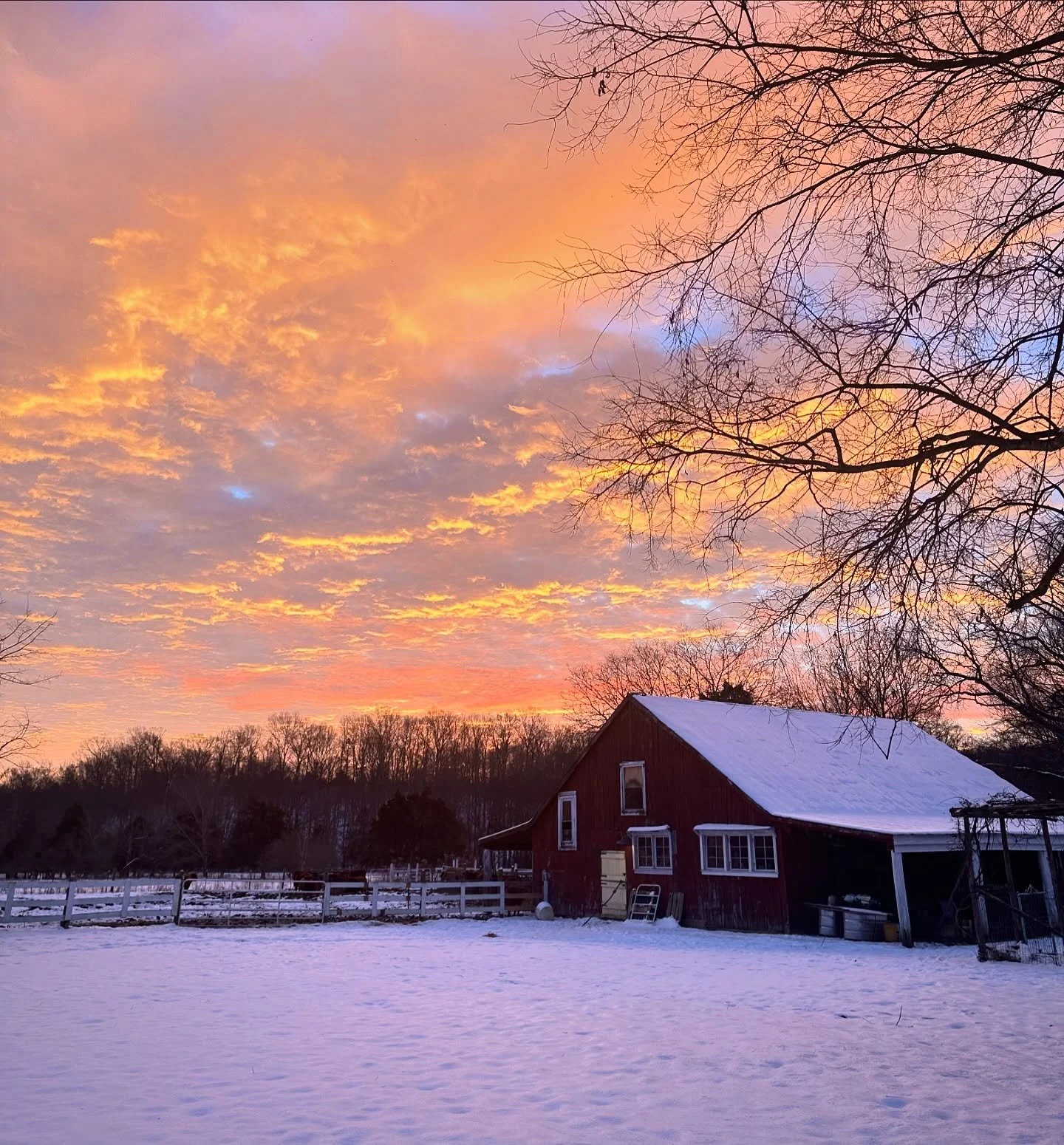 Clover Bell Farm