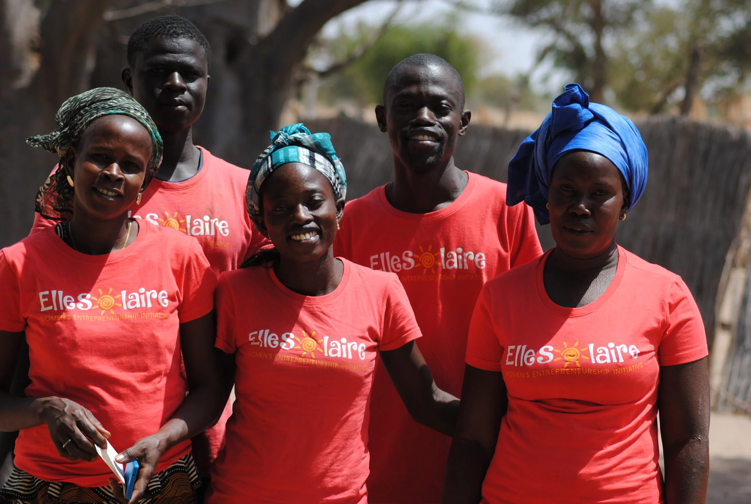 Seeded Organizations — D-Prize. Distribution equals development