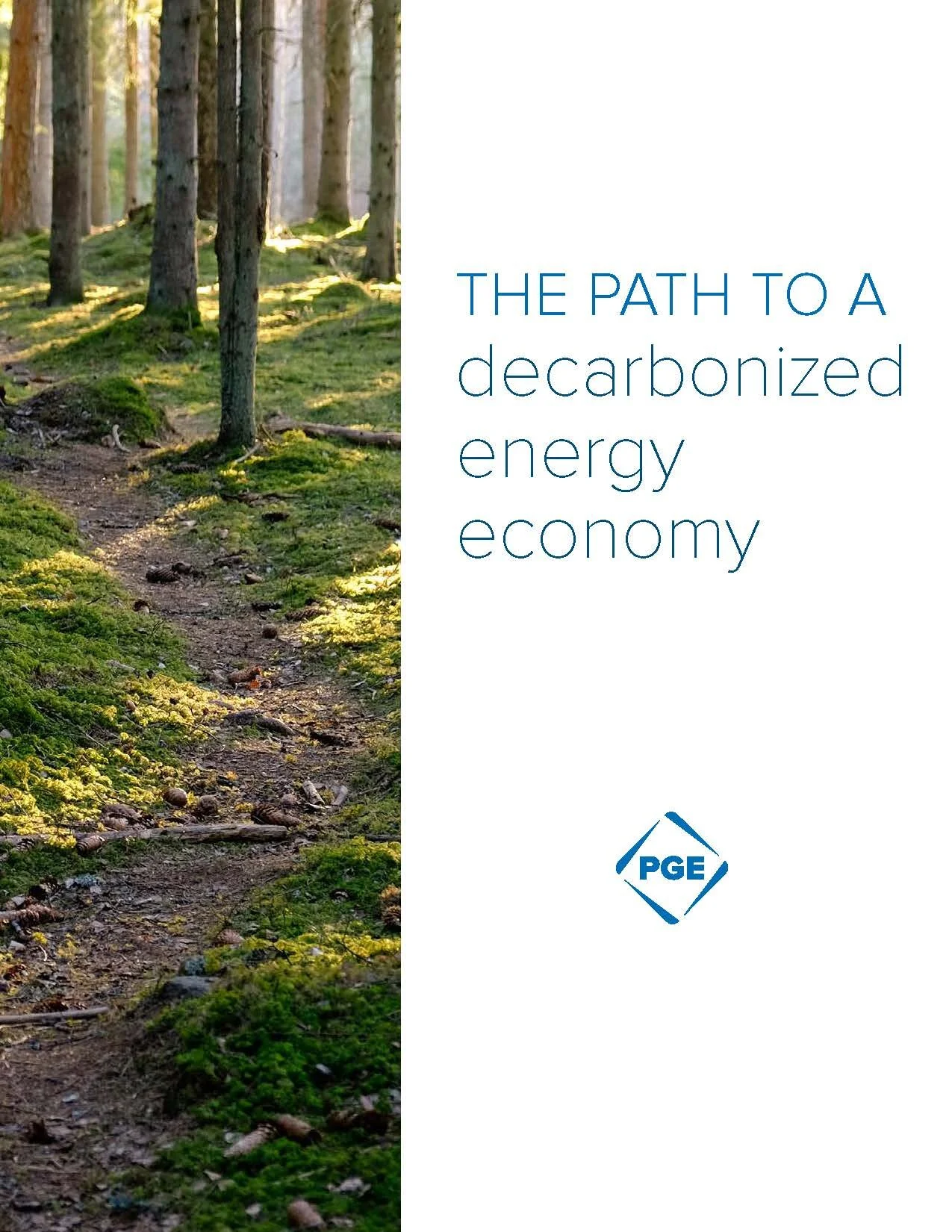 Strategy Defined — Sarah Liz Design