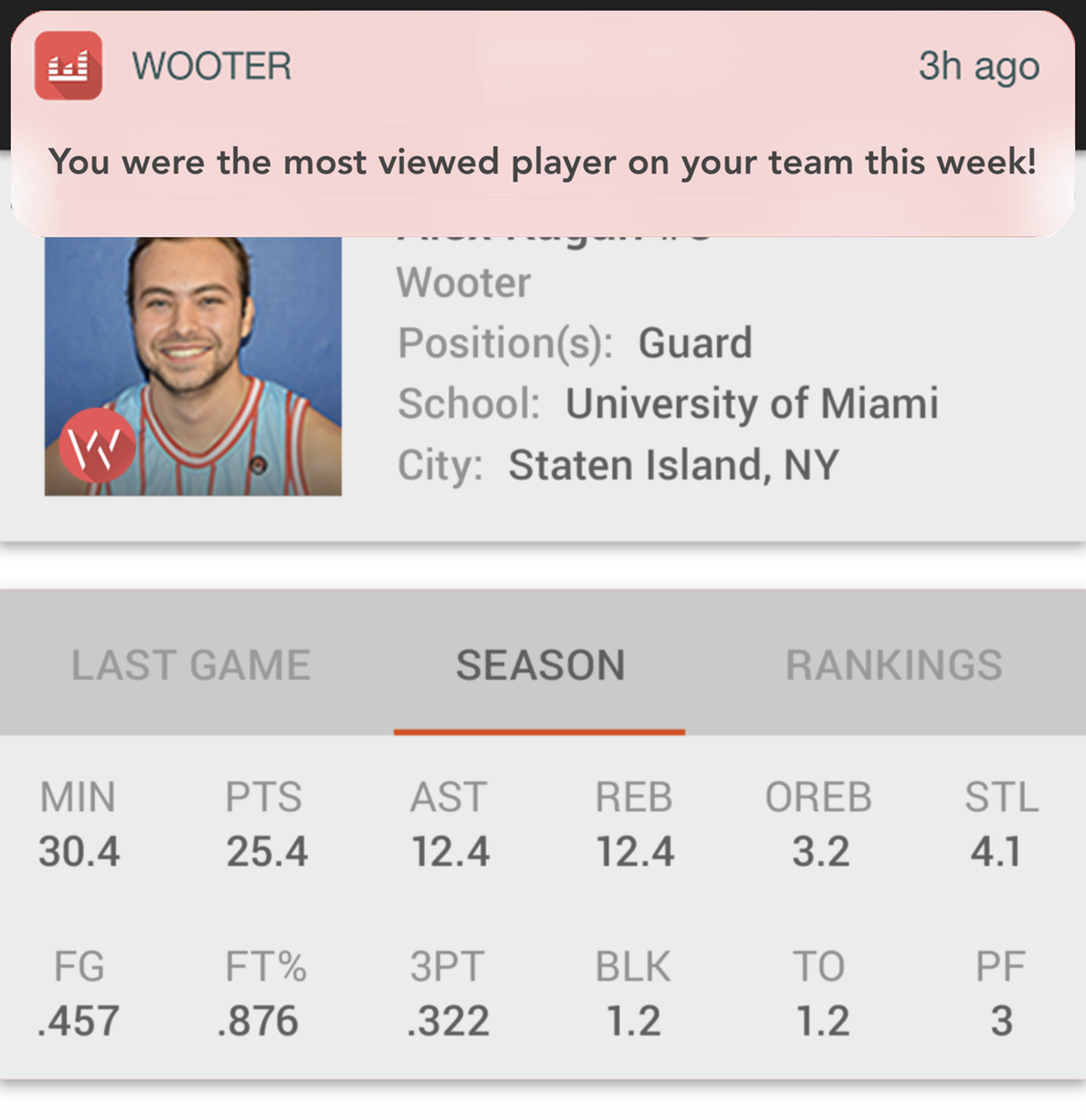 Team & Player Profiles — Wooter | Free Sports Management Software