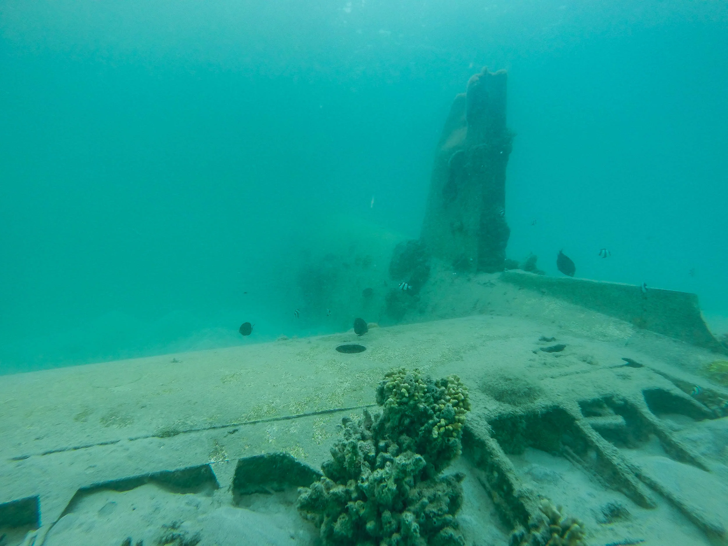 Snorkel on a Genuine World War II Plane Wreck in Vanuatu — YOLO Traveller