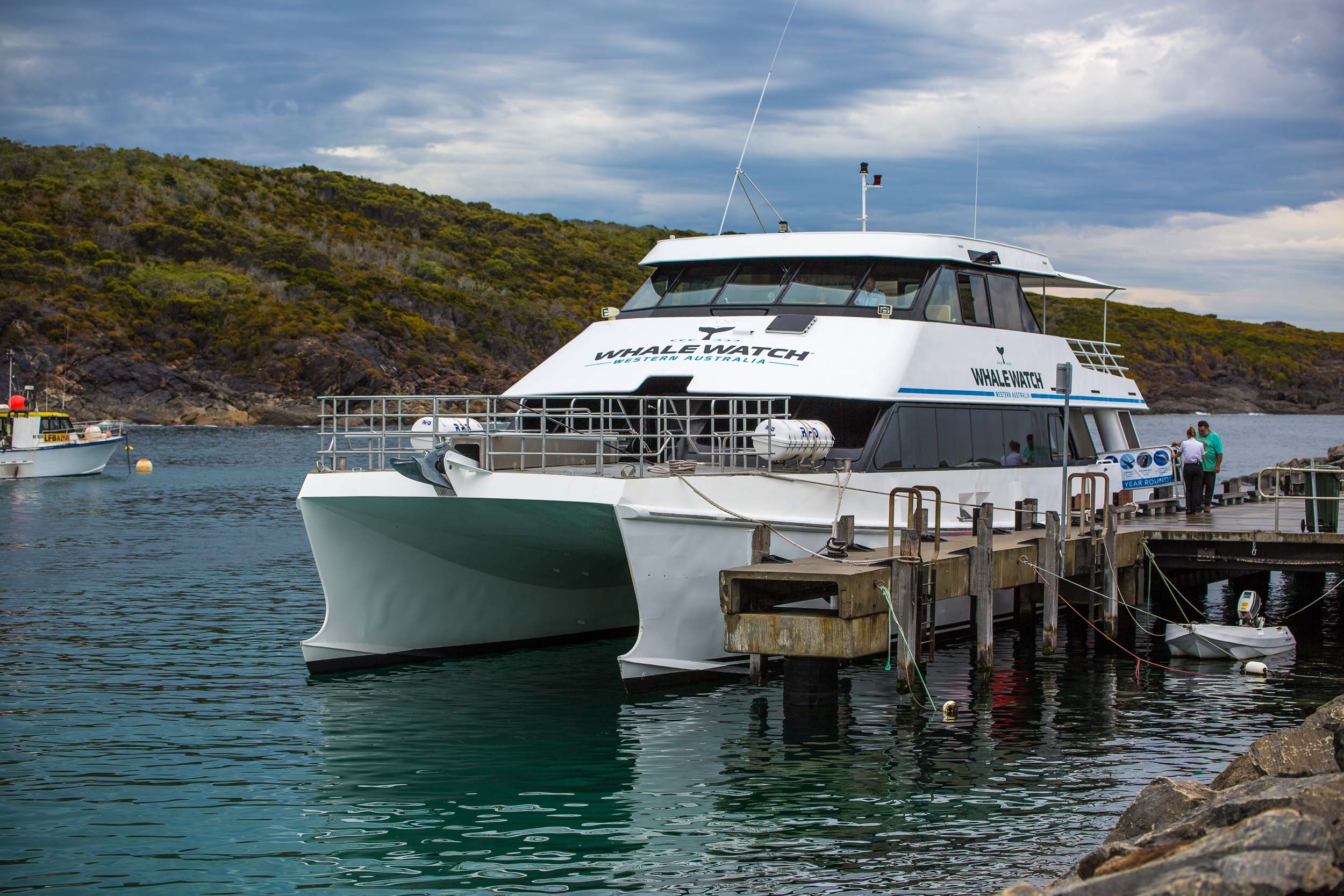 Orca Whale-Watching in the Bremer Canyon, WA — YOLO Traveller