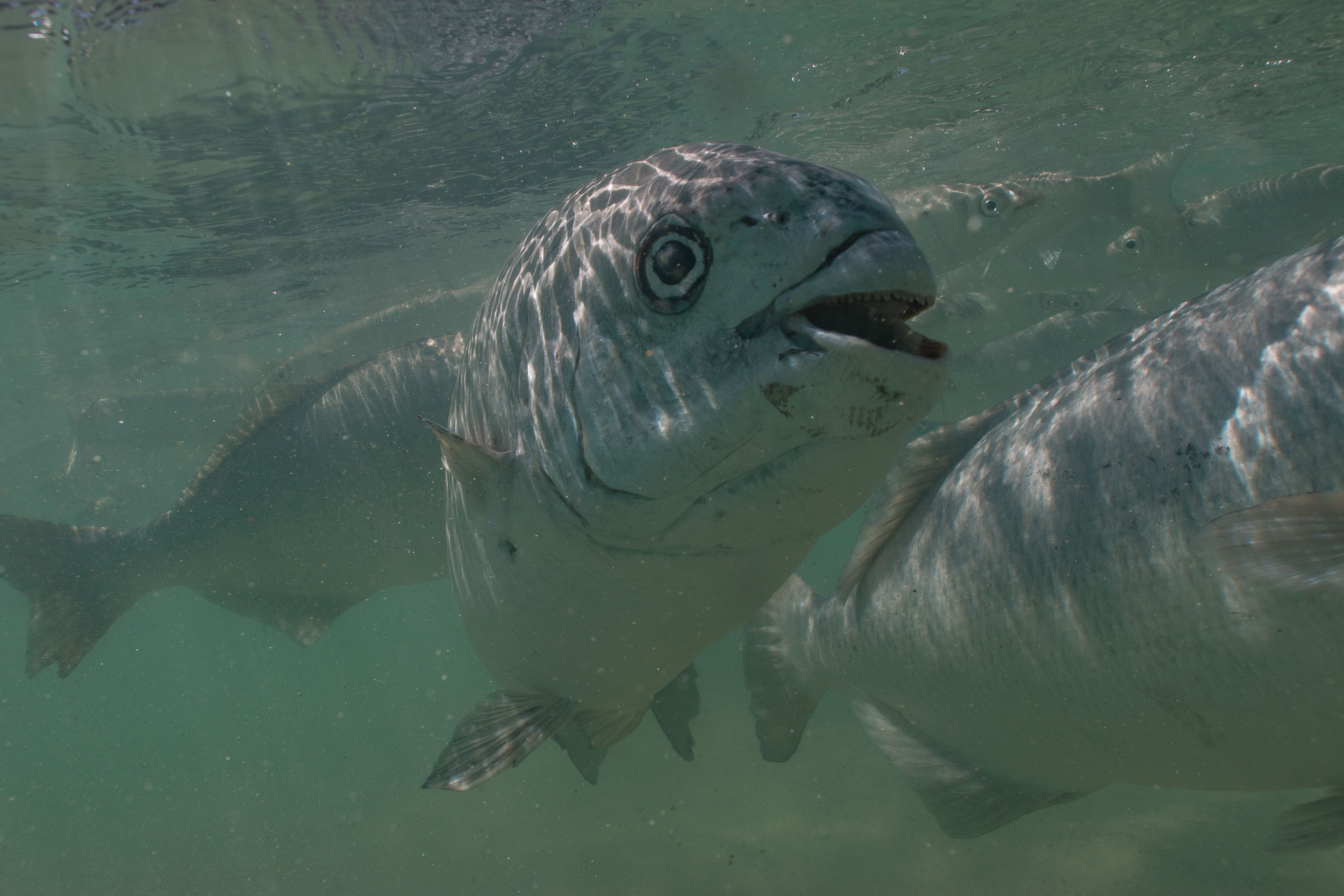 How to Enjoy Australia's Lord Howe Island — YOLO Traveller