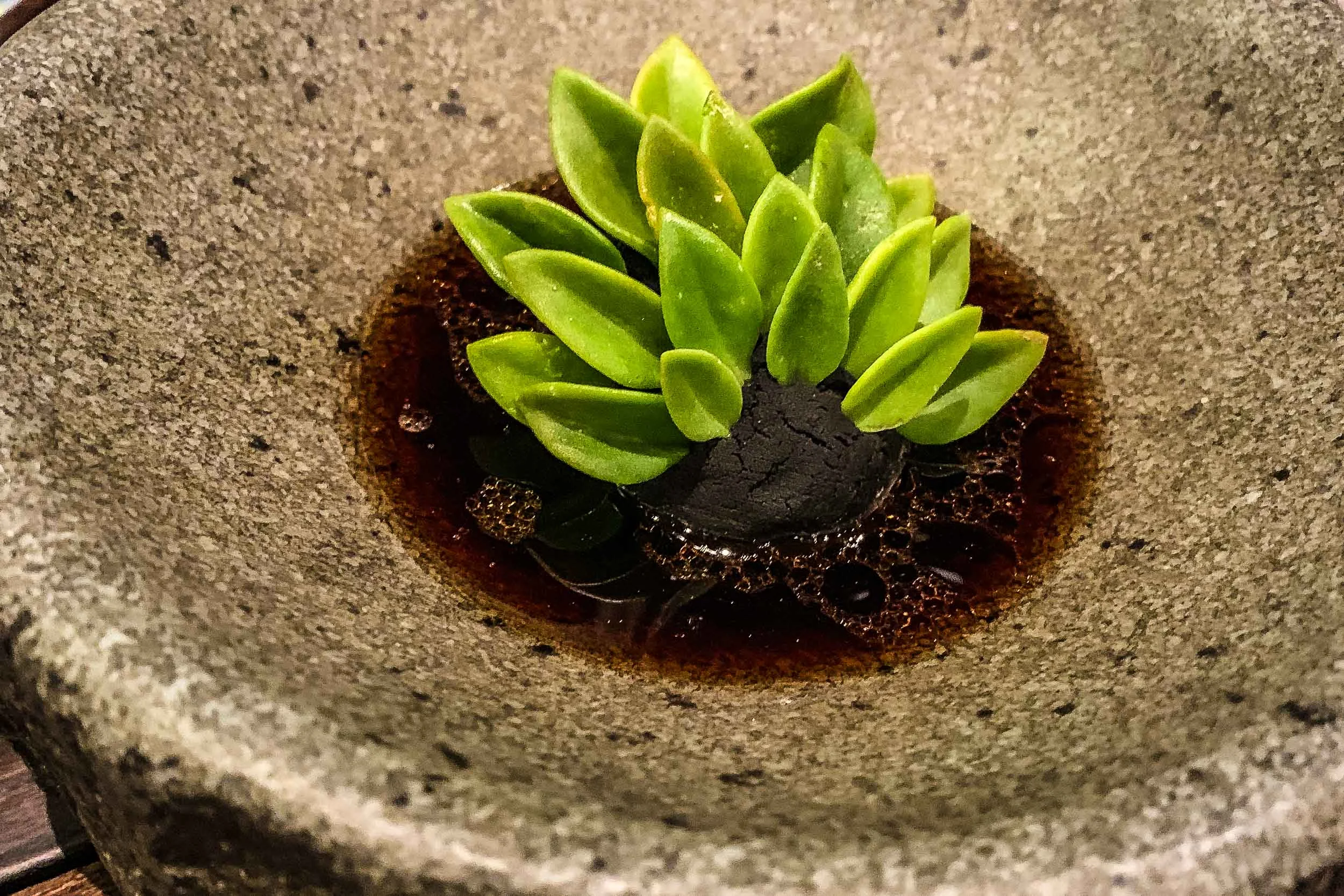 Restaurant Borago, Santiago, Chile — YOLO Traveller