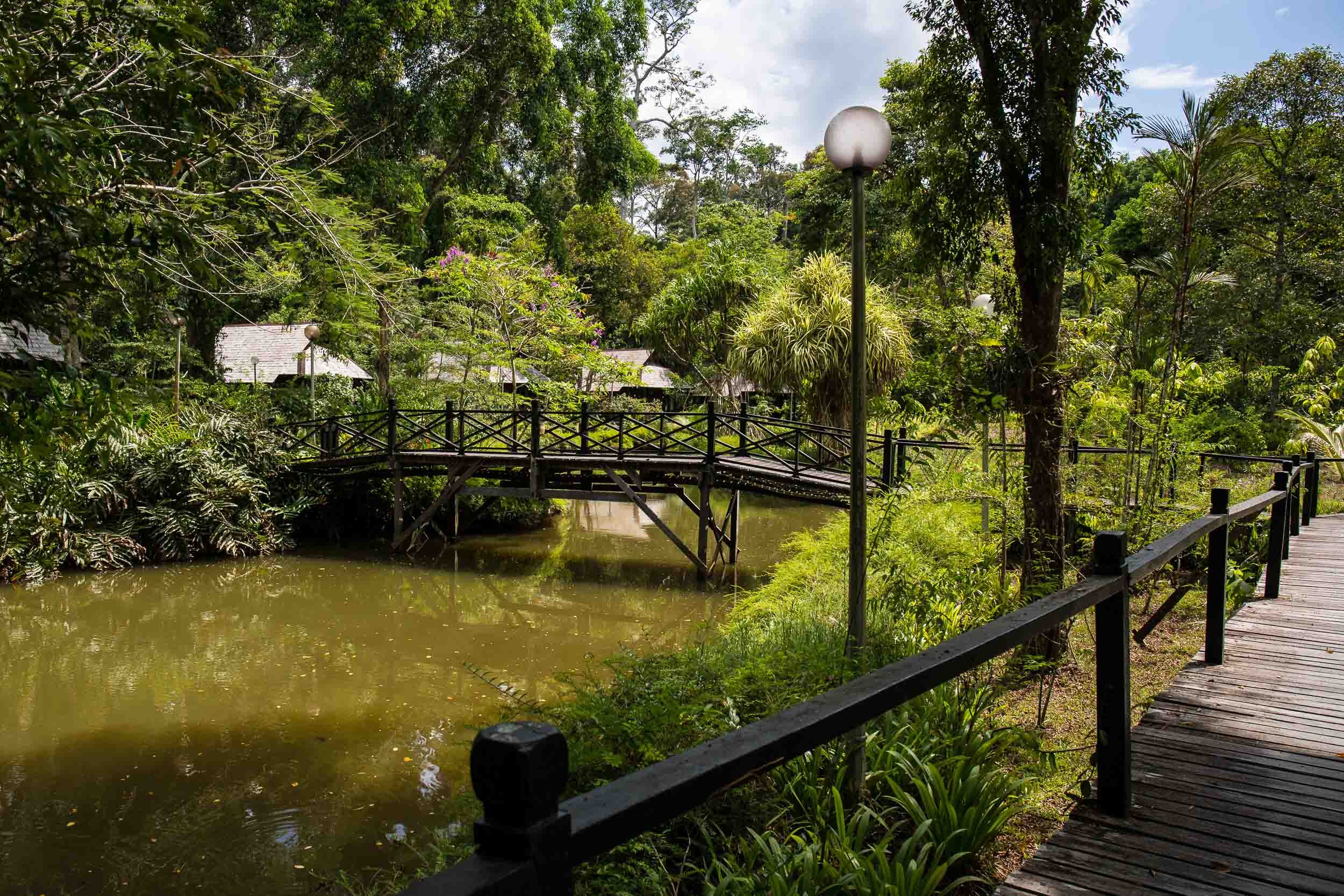 Sepilok Nature Resort, Borneo, Malaysia — YOLO Traveller