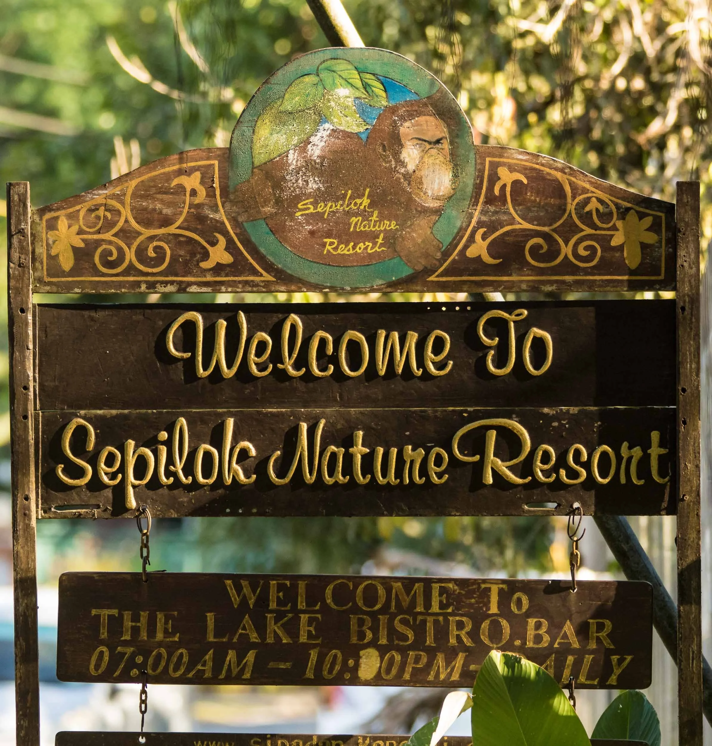 Sepilok Nature Resort, Borneo, Malaysia — YOLO Traveller