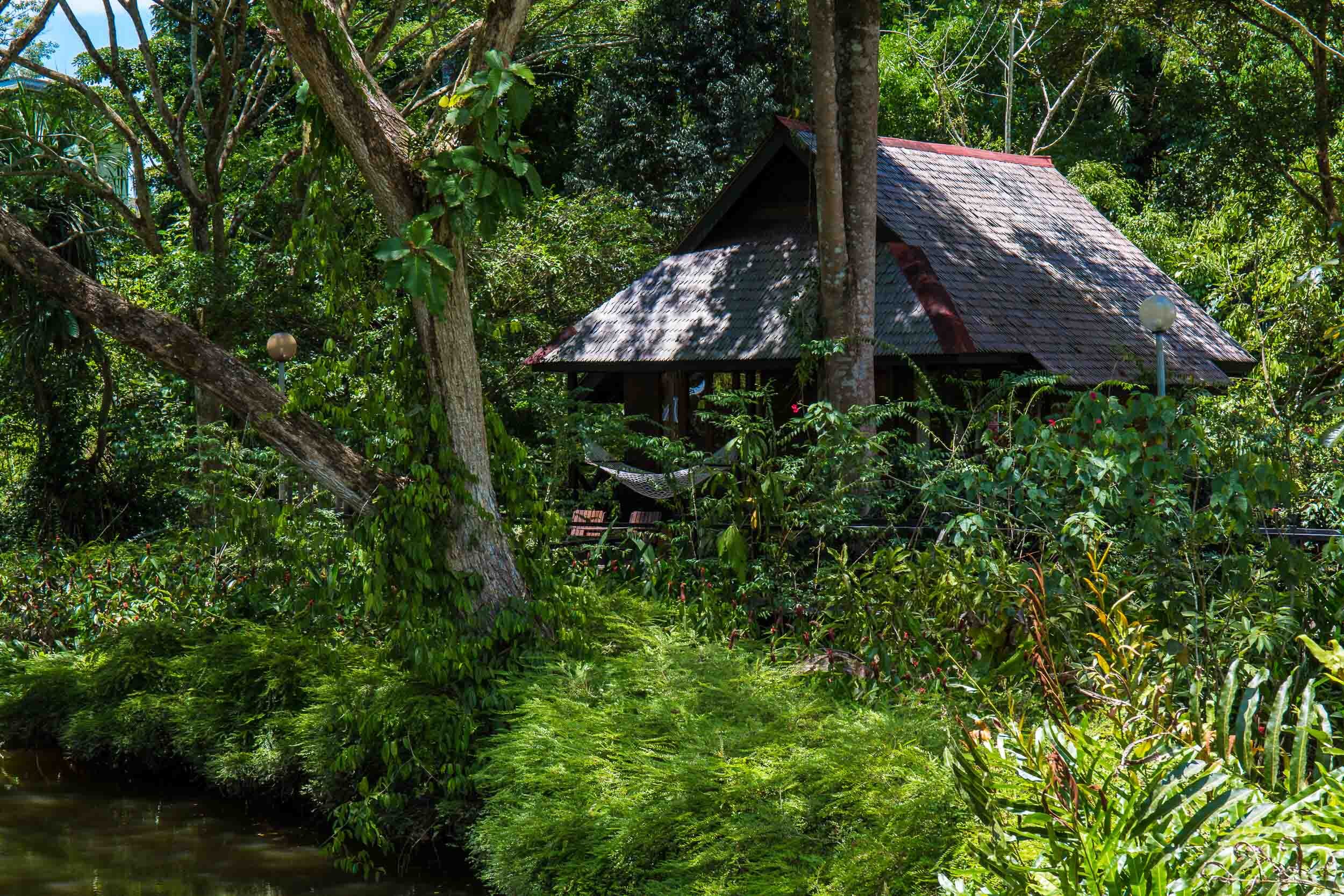 Sepilok Nature Resort, Borneo, Malaysia — YOLO Traveller