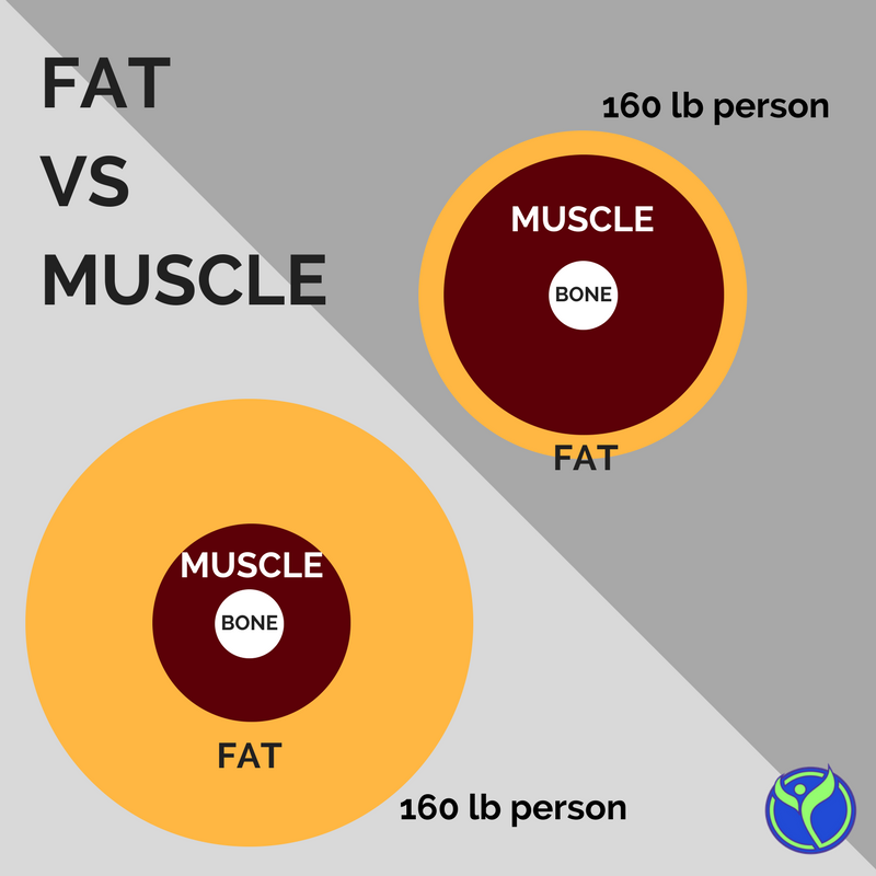 Fat Loss vs. Weight Loss Tips — Refine YOU