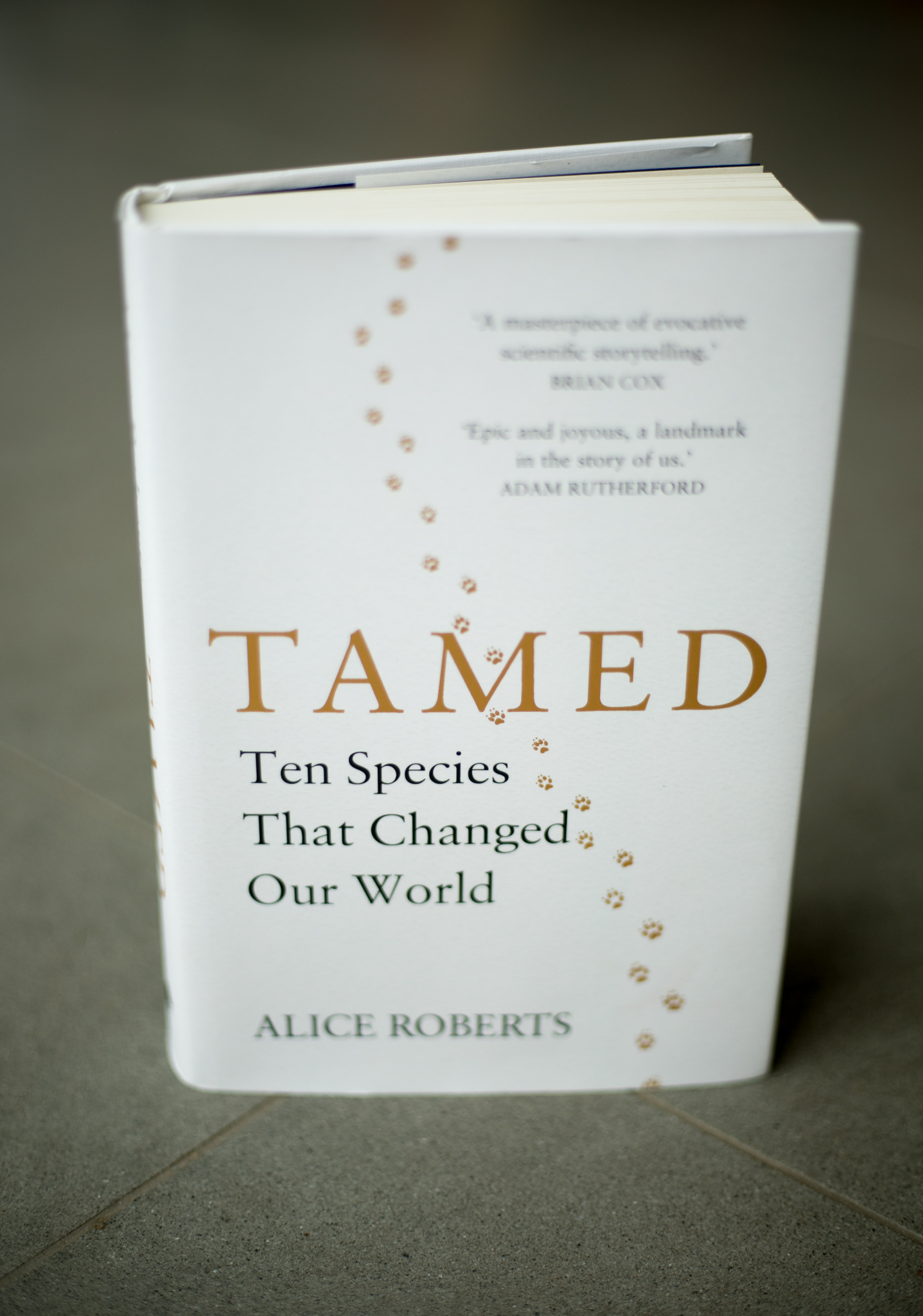 Books — Alice Roberts