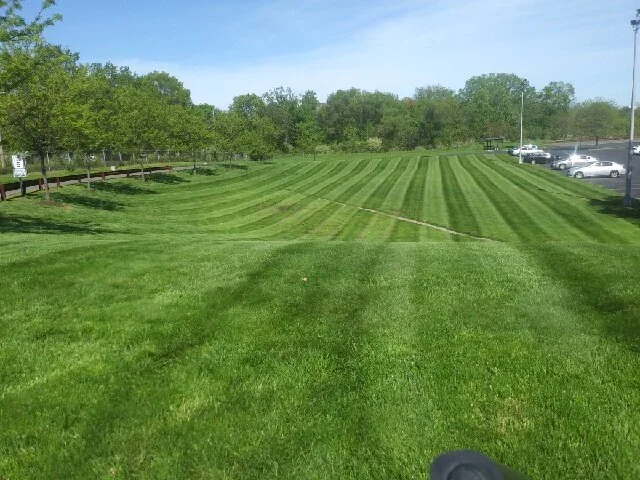 Landscaping | Lawn Maintenance — Total Lawn Care and More — Total Lawn ...